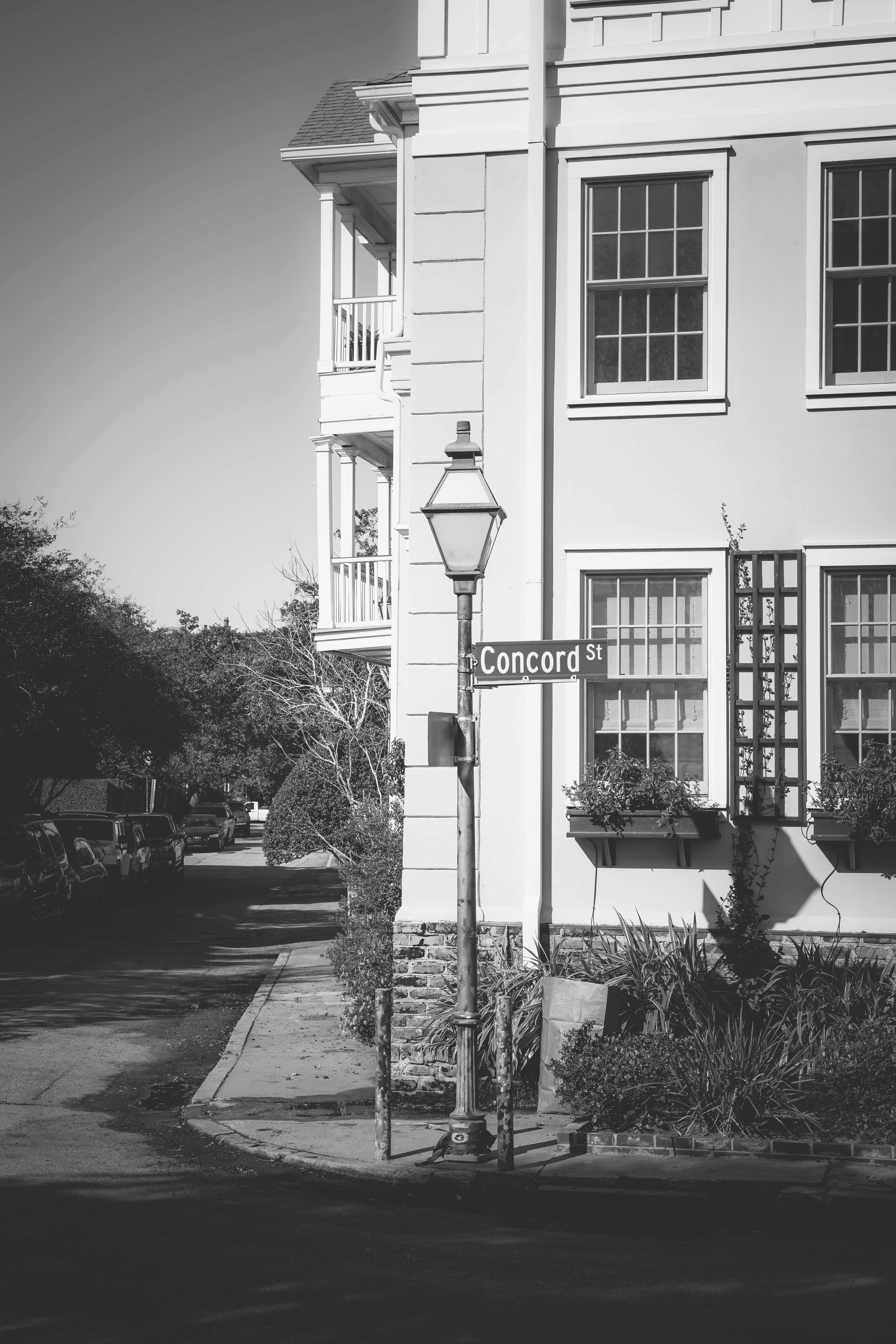 Classic Street Sign on Concord Street · Free Stock Photo