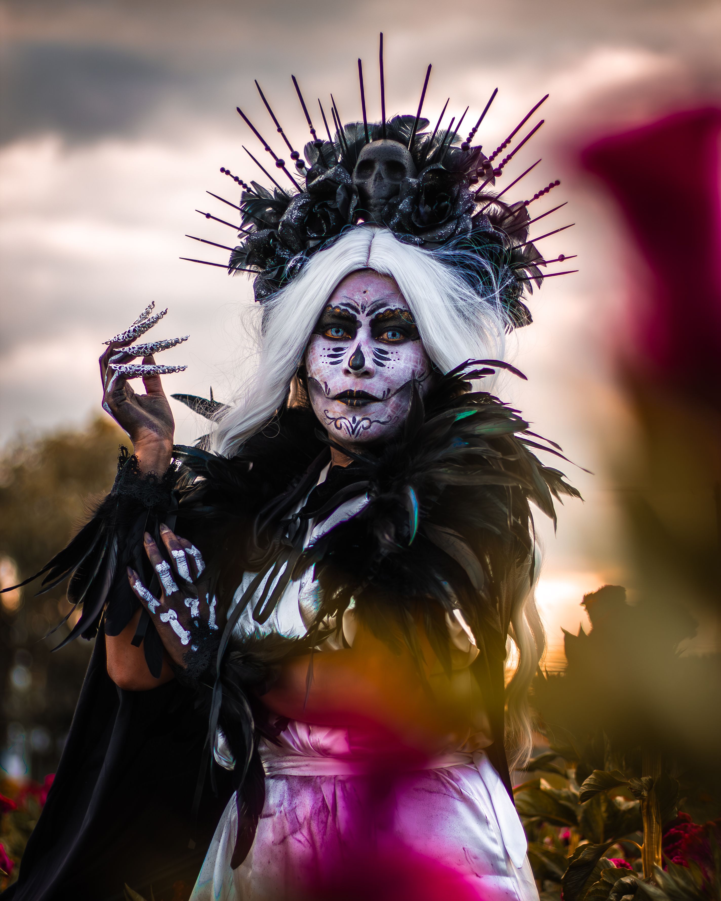 Deadly Spikes Photos, Download The BEST Free Deadly Spikes Stock Photos ...