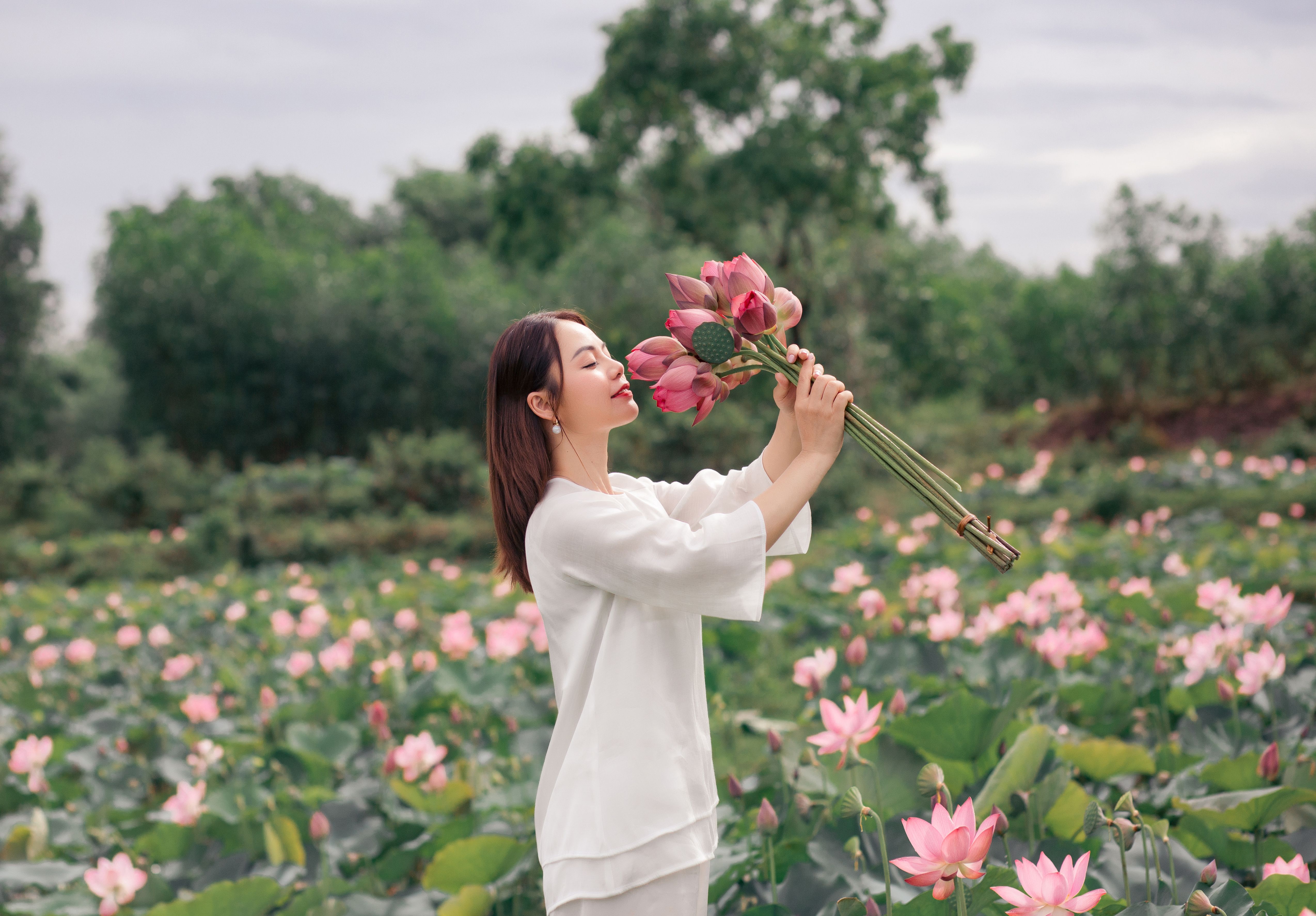 Jpeg Photos, Download The BEST Free Jpeg Stock Photos & HD Images