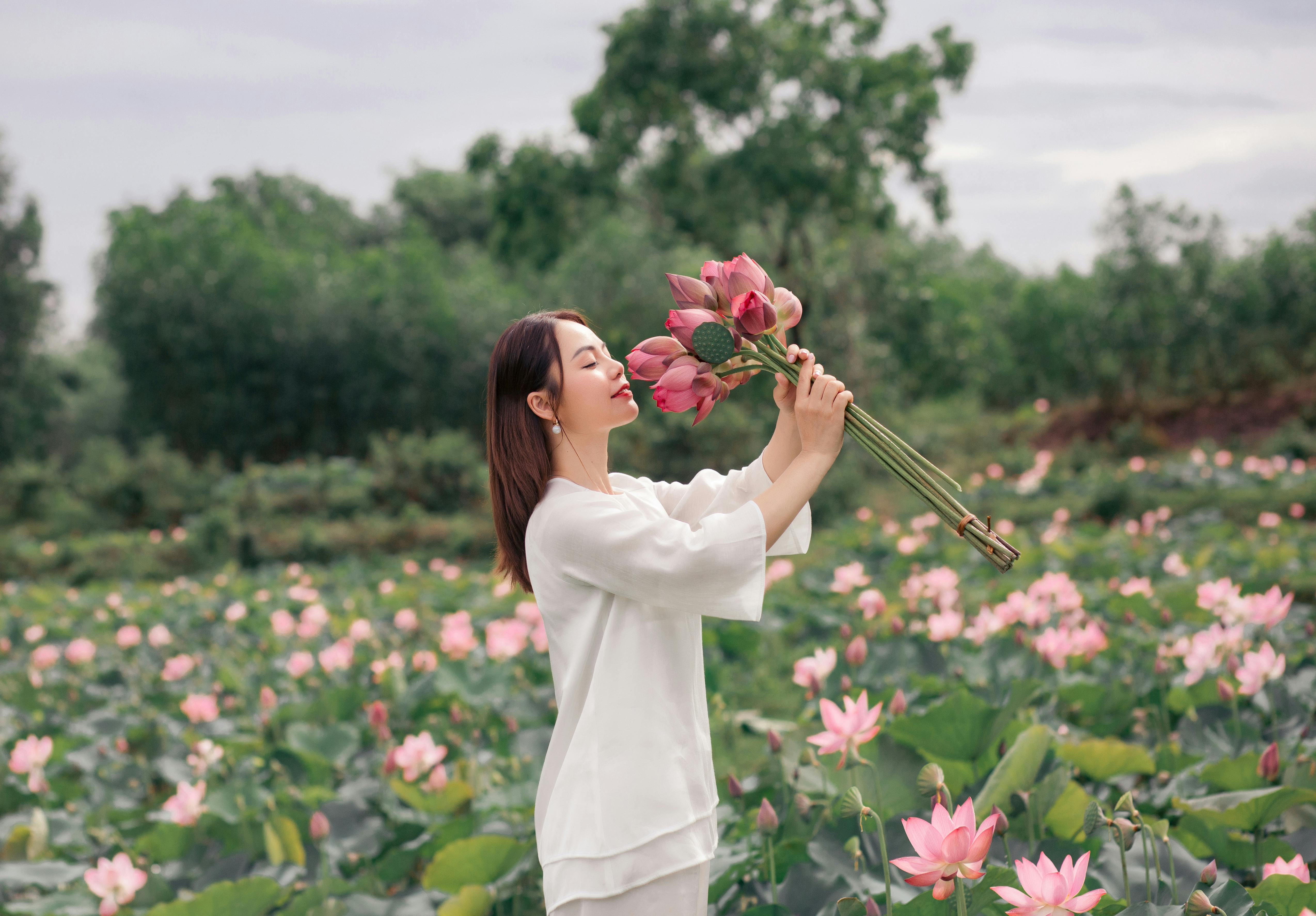 Jpeg Photos, Download The BEST Free Jpeg Stock Photos & HD Images