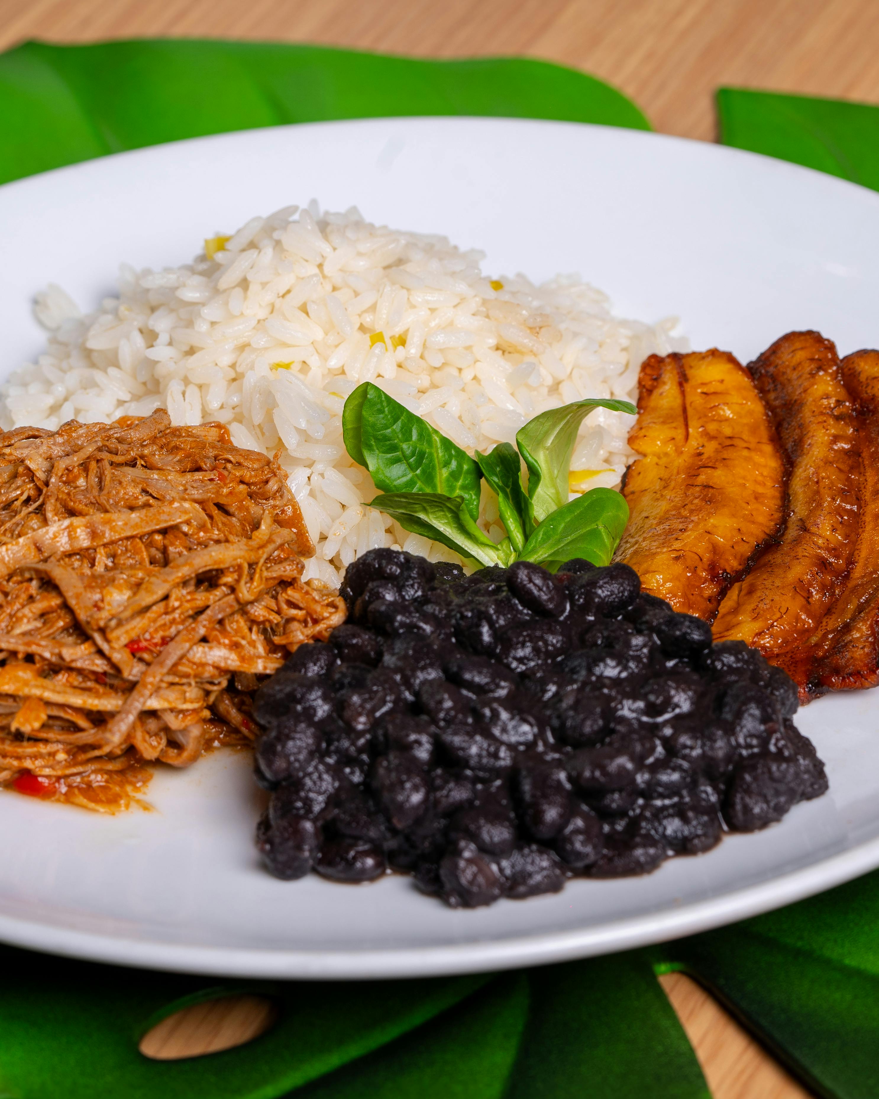 Traditional Venezuelan Pabellón Criollo Dish · Free Stock Photo