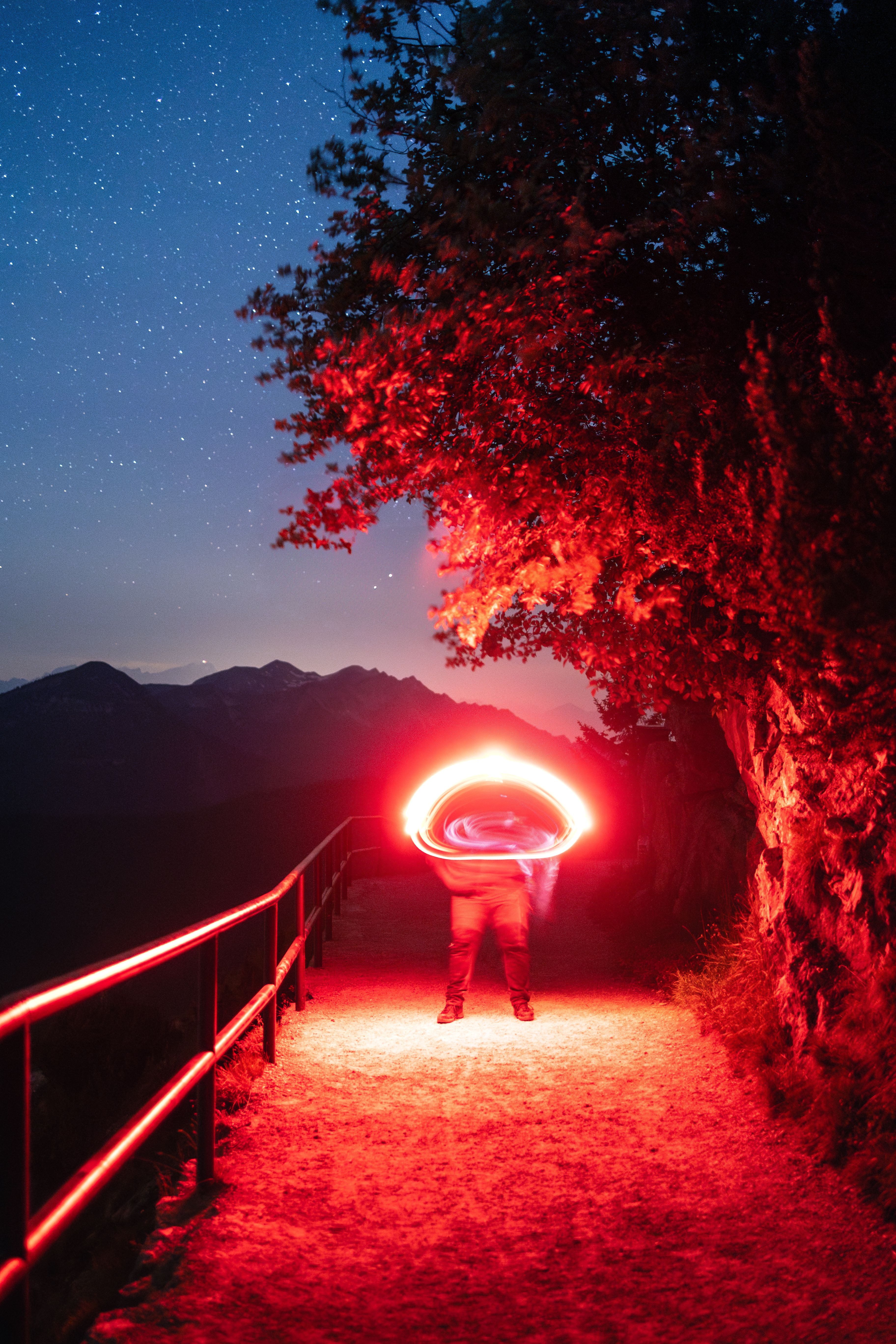 Mystical Night Trail with Light Streaks in Bavaria · Free Stock Photo