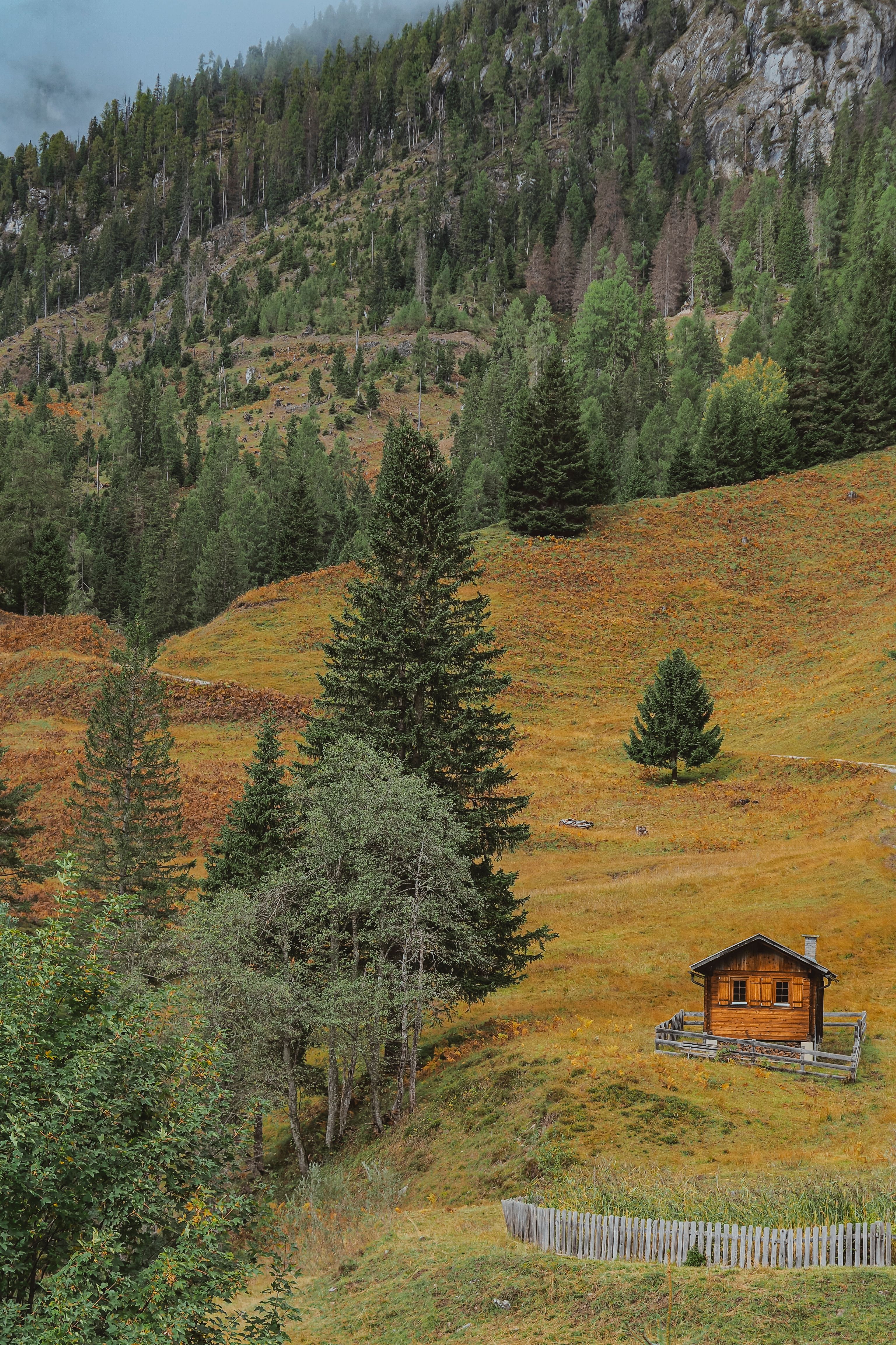Idyllic Italian Mountain Cabin in Autumn · Free Stock Photo
