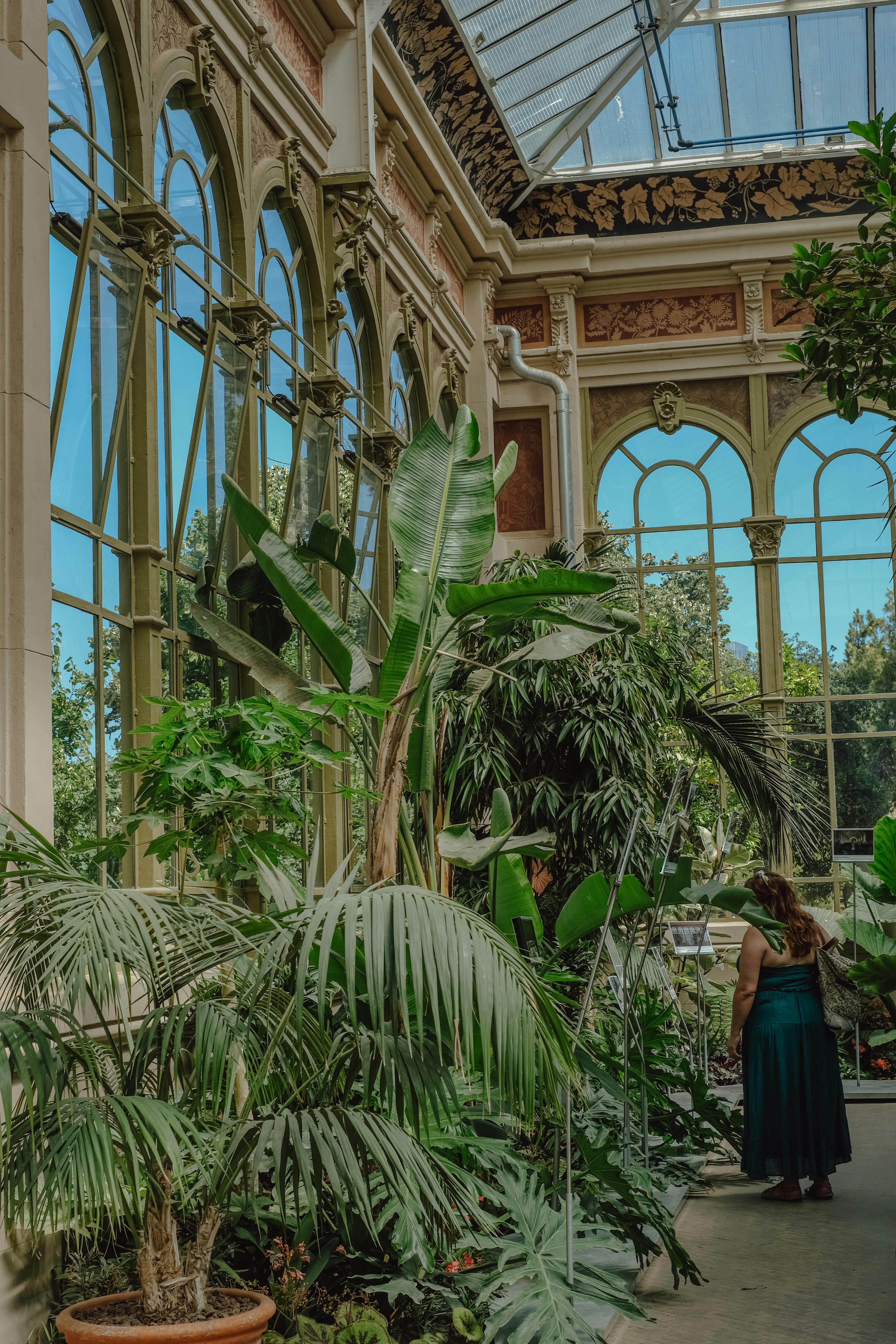 Rumah Kaca Rimbun Dengan Tanaman Tropis Dan Langit Langit Kaca · Foto ...