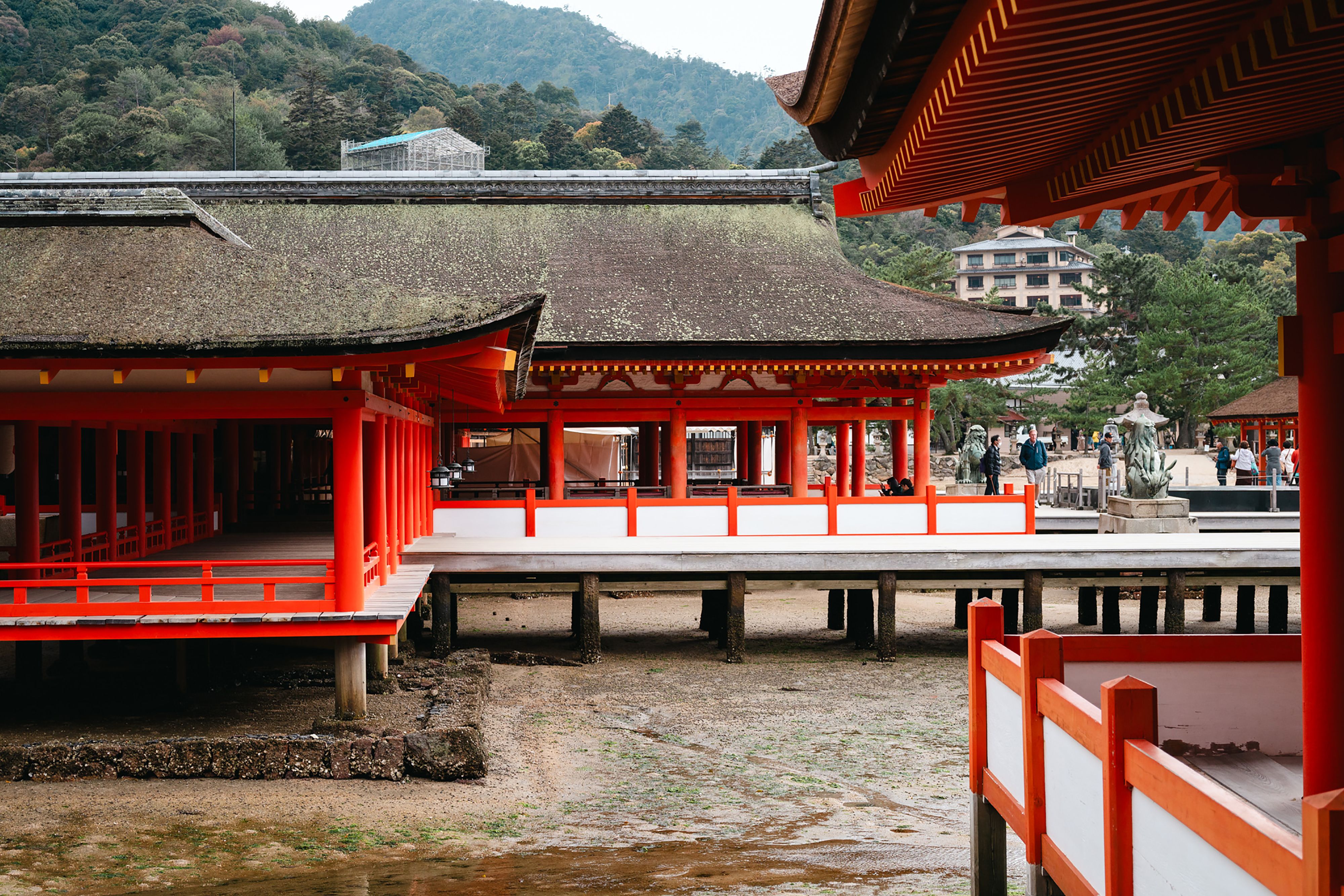 Traditional Japanese Temple Scenery with Red Architecture · Free Stock ...