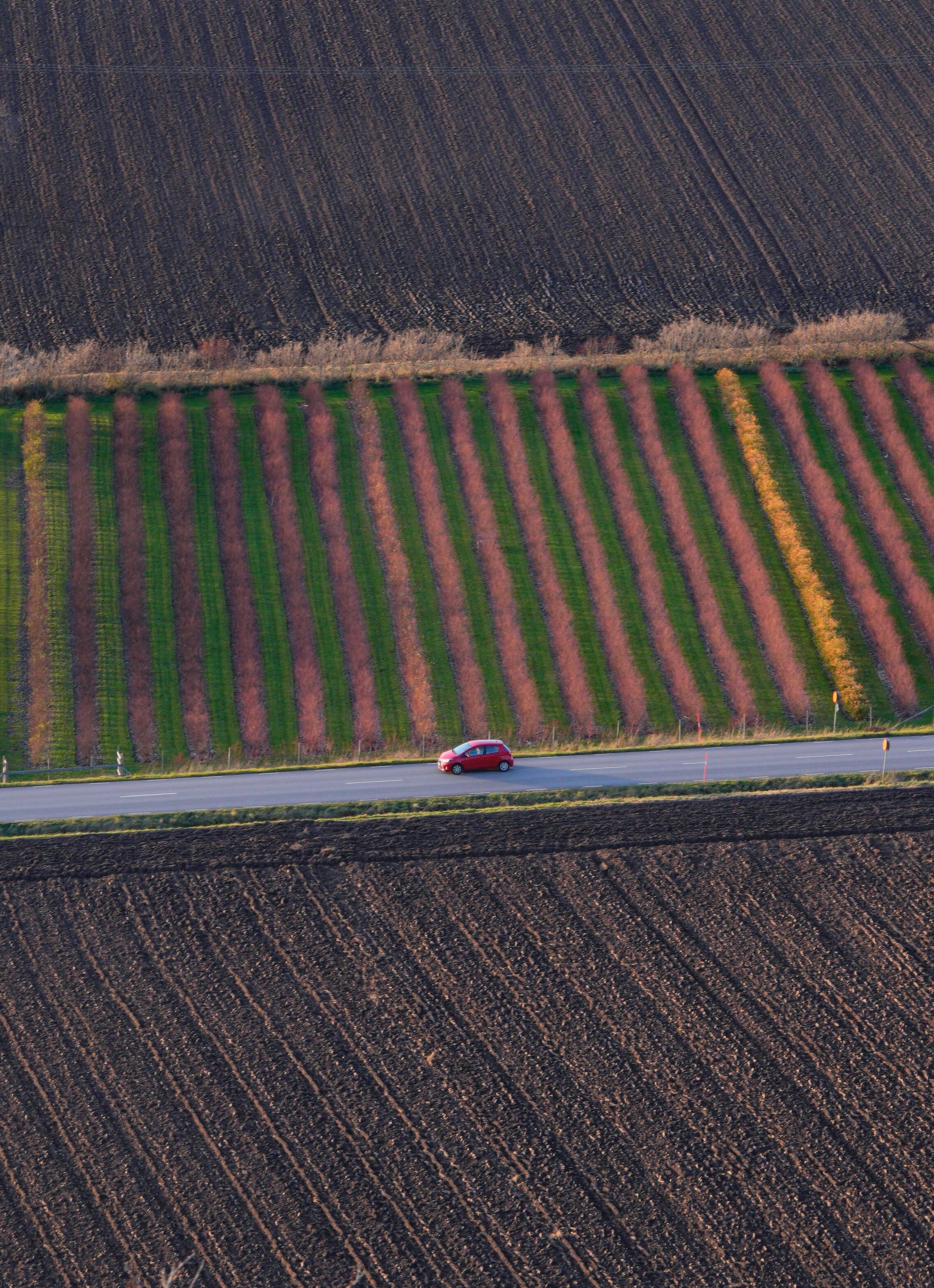 Red Car on Countryside Road Near Agricultural Fields · Free Stock Photo