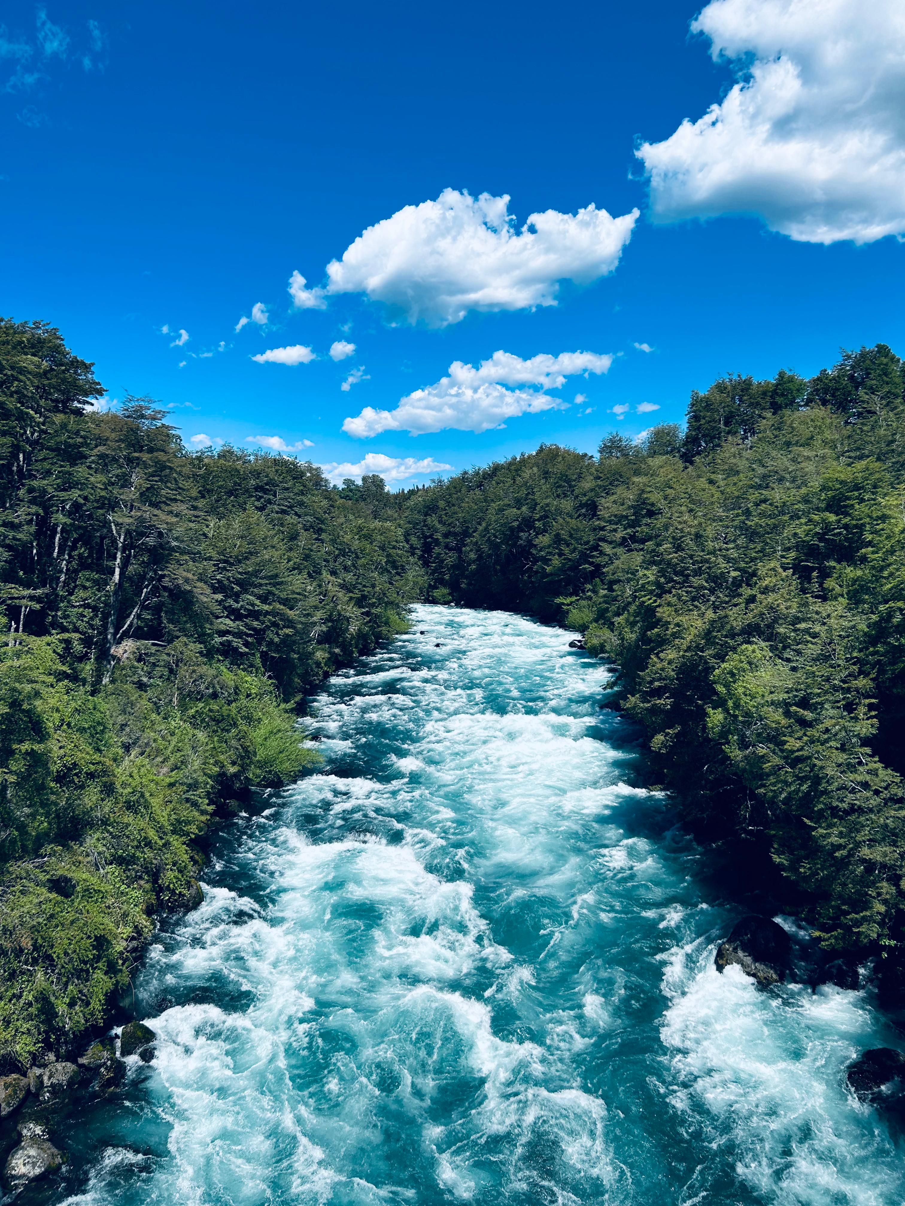 Scenic River Flowing in Puerto Fuy, Chile · Free Stock Photo