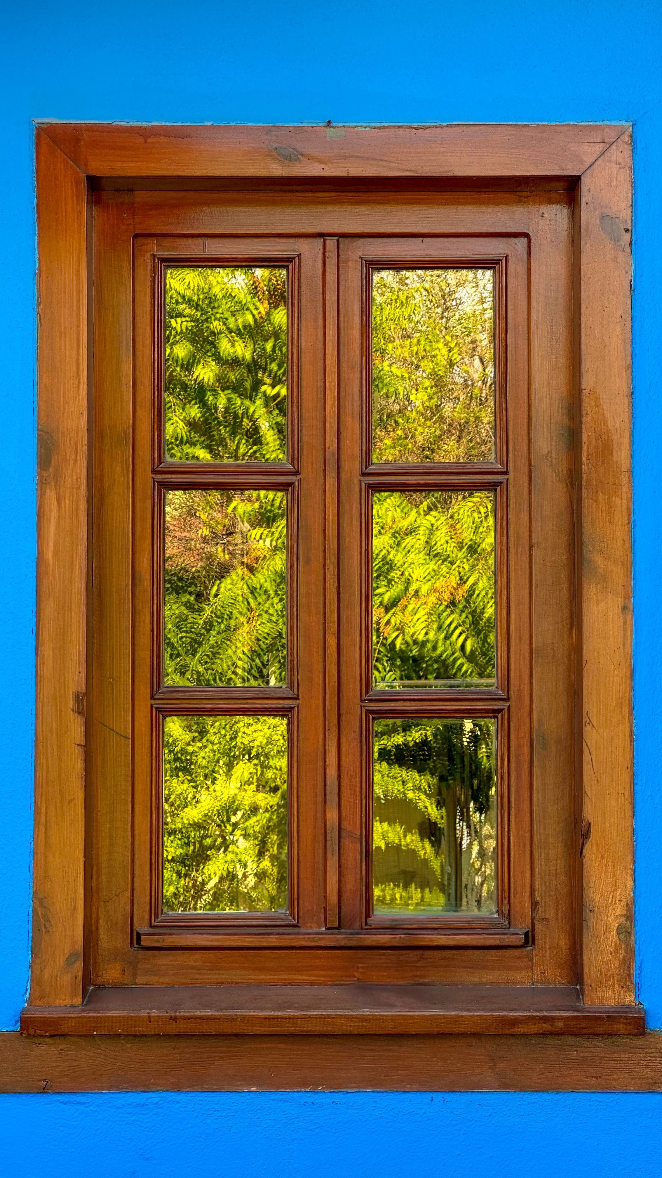 Bright Wooden Window with Leafy Reflection · Free Stock Photo