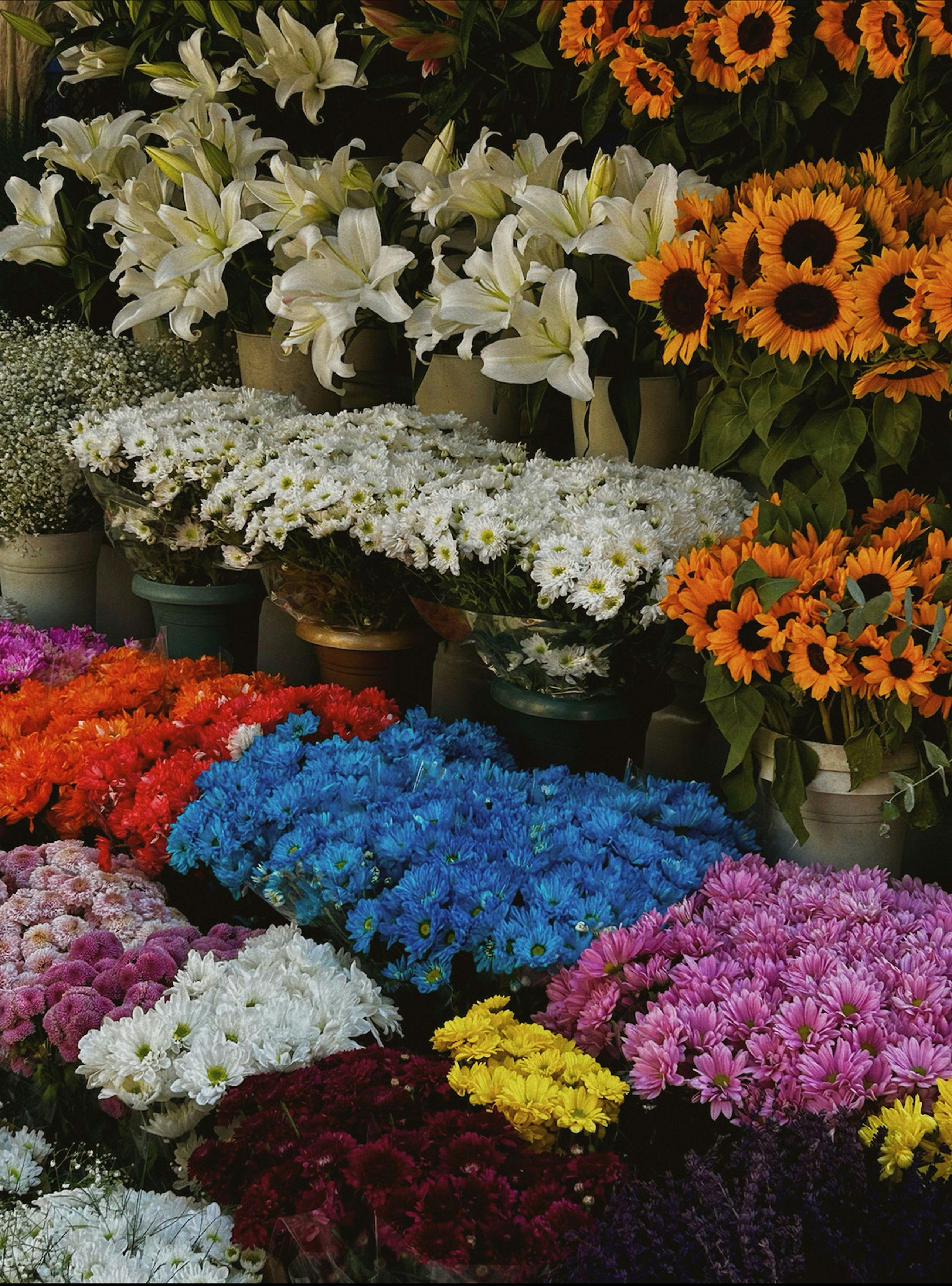 Vibrant Flower Market Display with Mixed Bouquets · Free Stock Photo