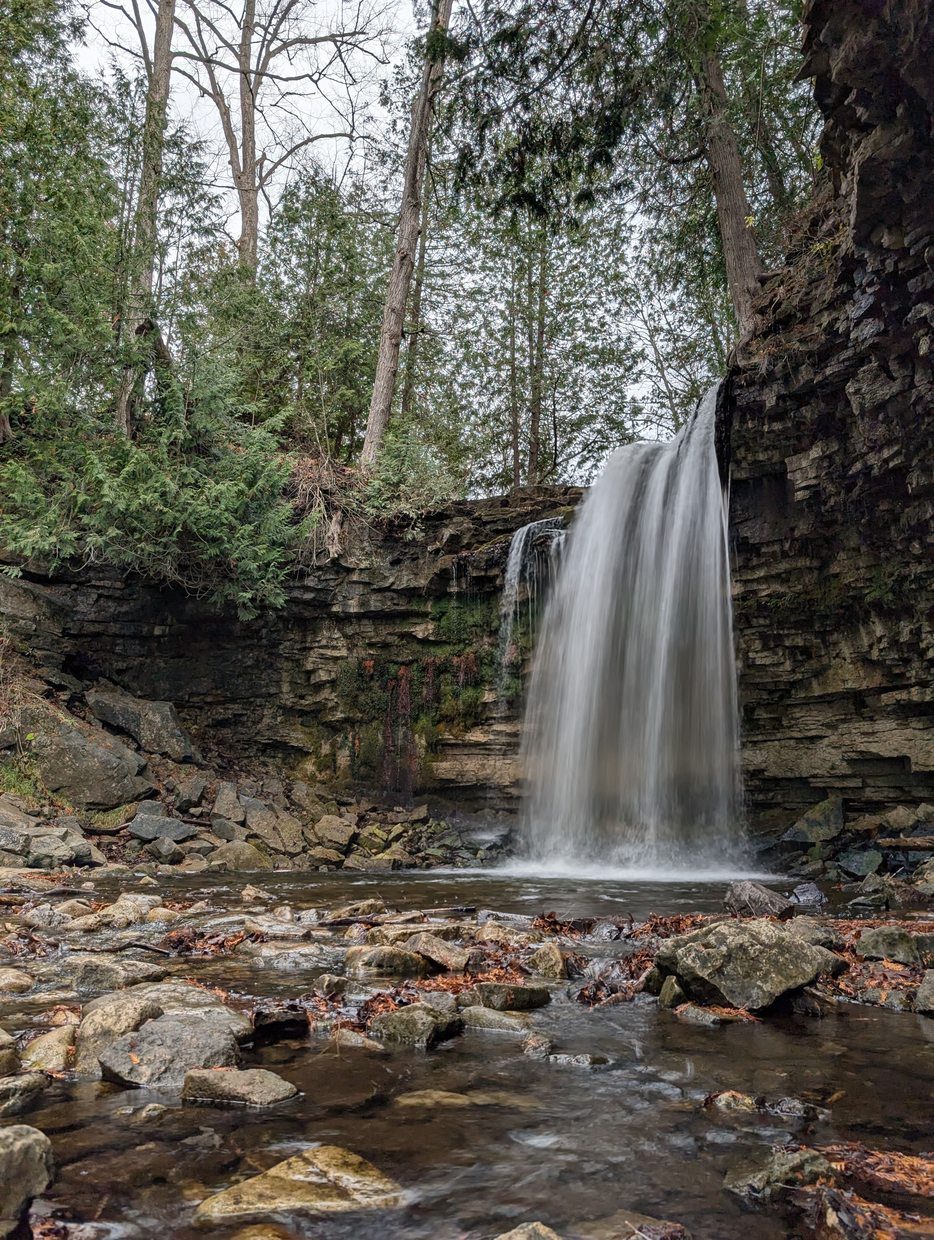 Scenic Waterfall in Natural Forest Setting · Free Stock Photo