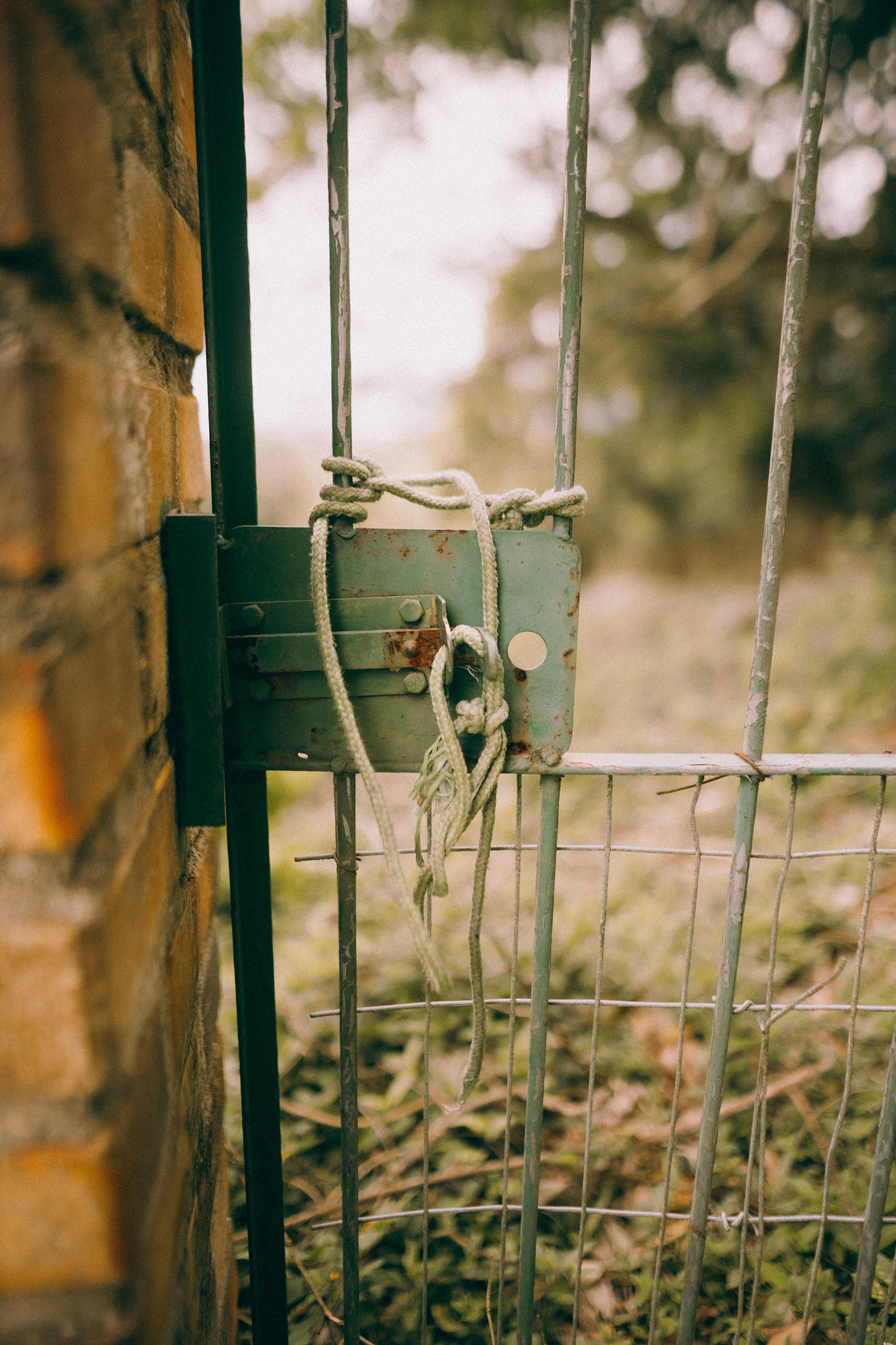 Rustic Green Gate with Weathered Rope Lock · Free Stock Photo
