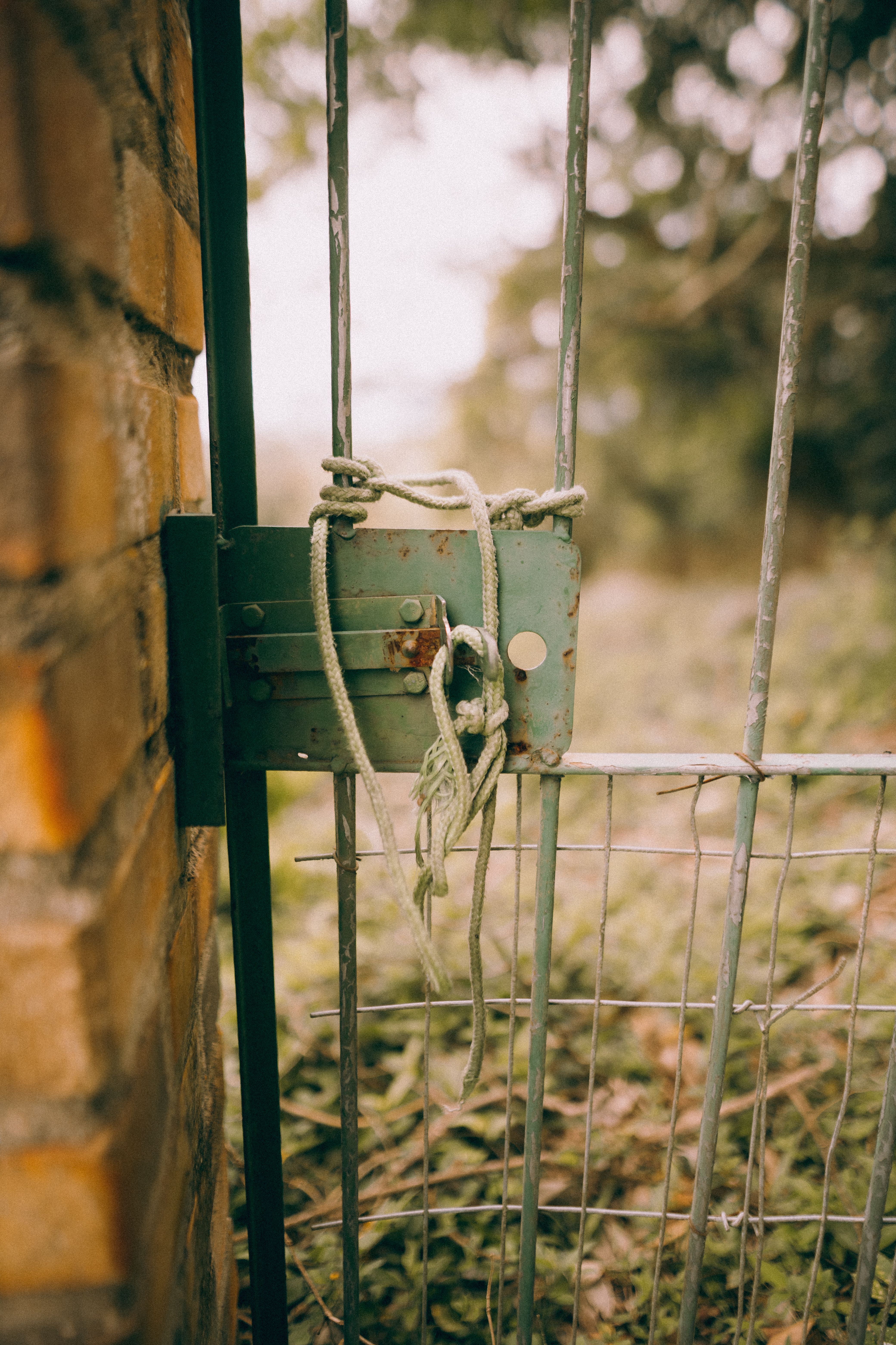 Rustic Green Gate with Weathered Rope Lock · Free Stock Photo