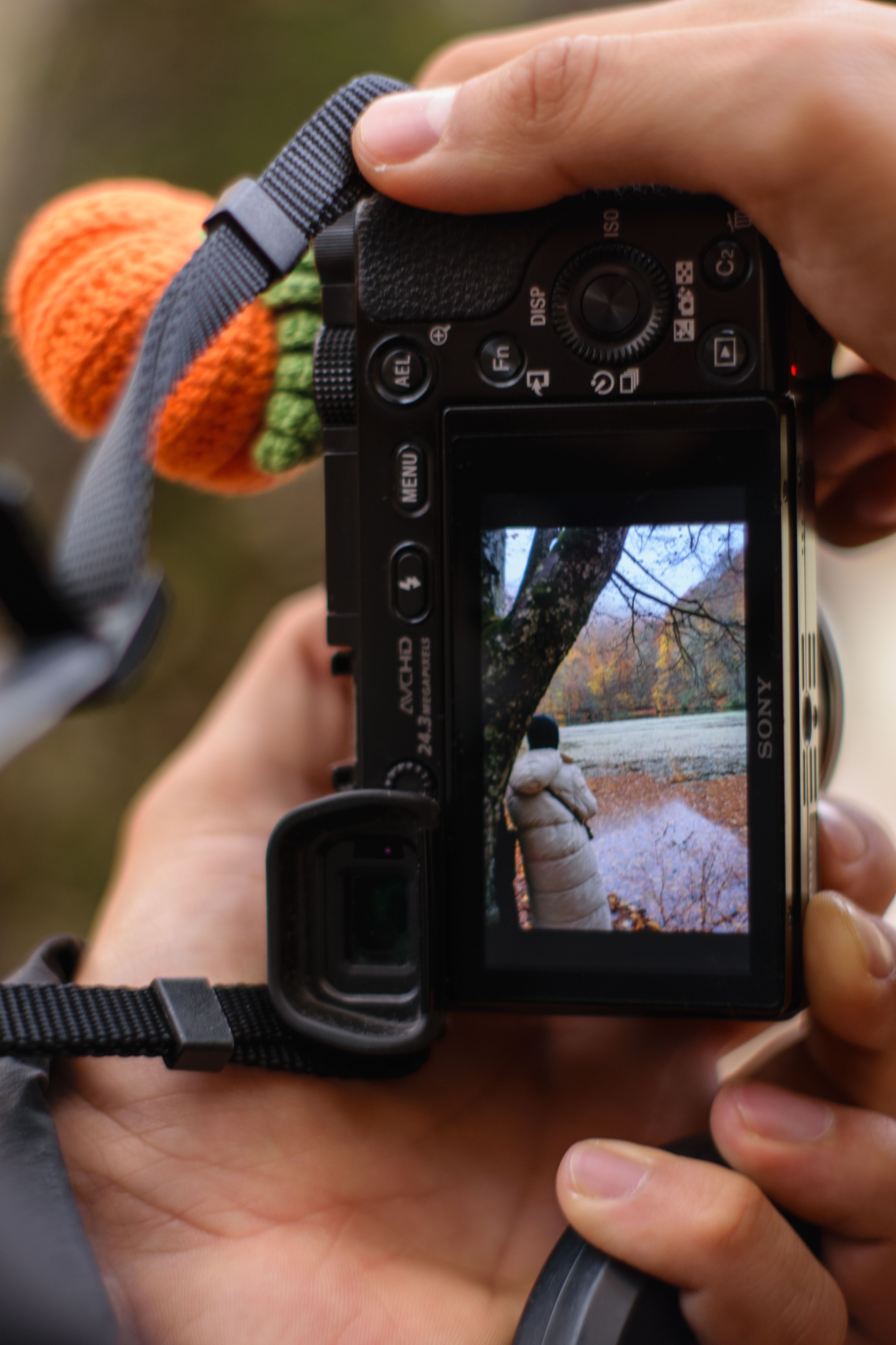 Capturing Autumn Through the Camera Lens · Free Stock Photo