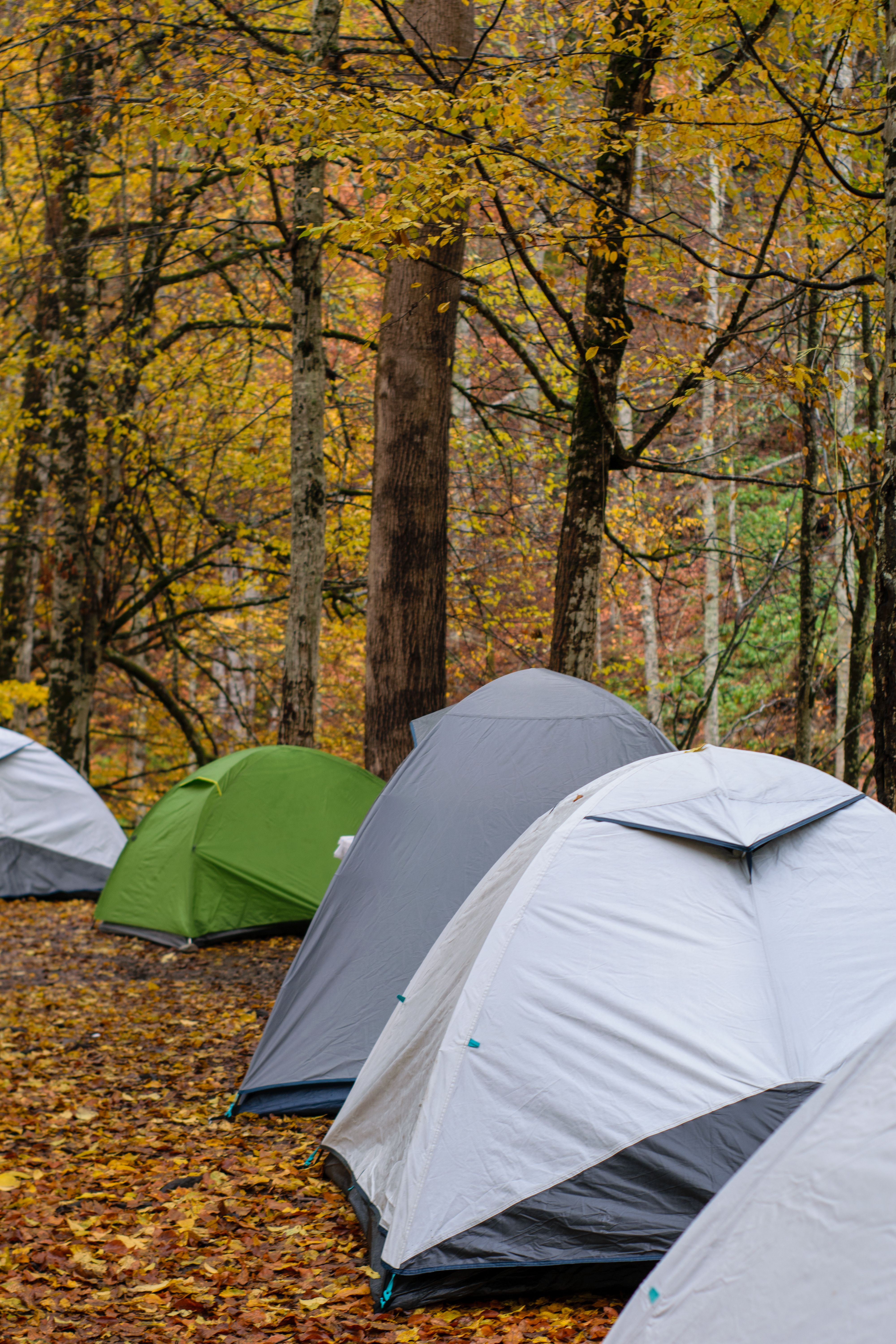 Autumn Camping Scene with Colorful Tents · Free Stock Photo