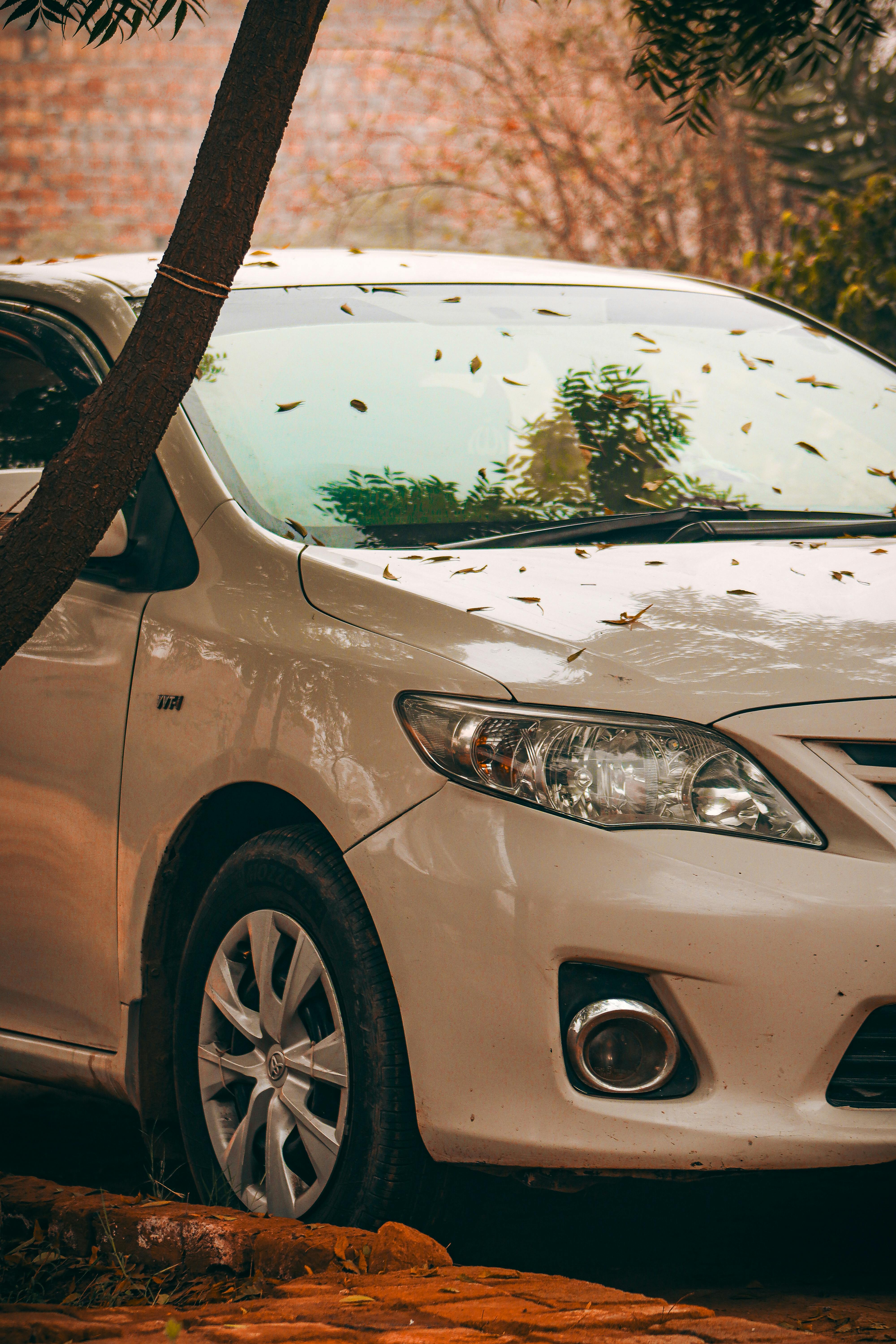 White Sedan Parked Under Tree on Leafy Day · Free Stock Photo
