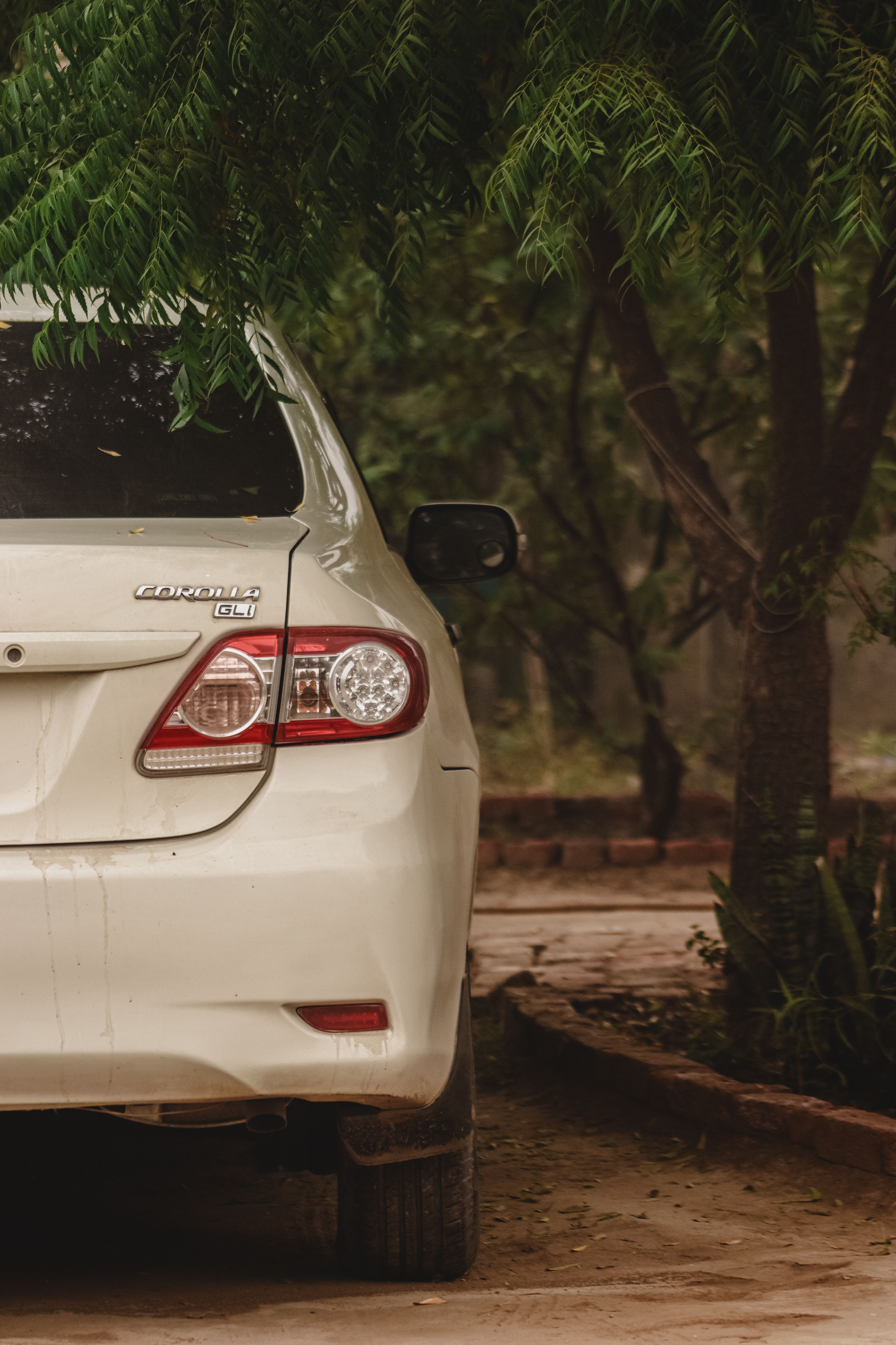 White Sedan Parked Under Lush Green Trees · Free Stock Photo