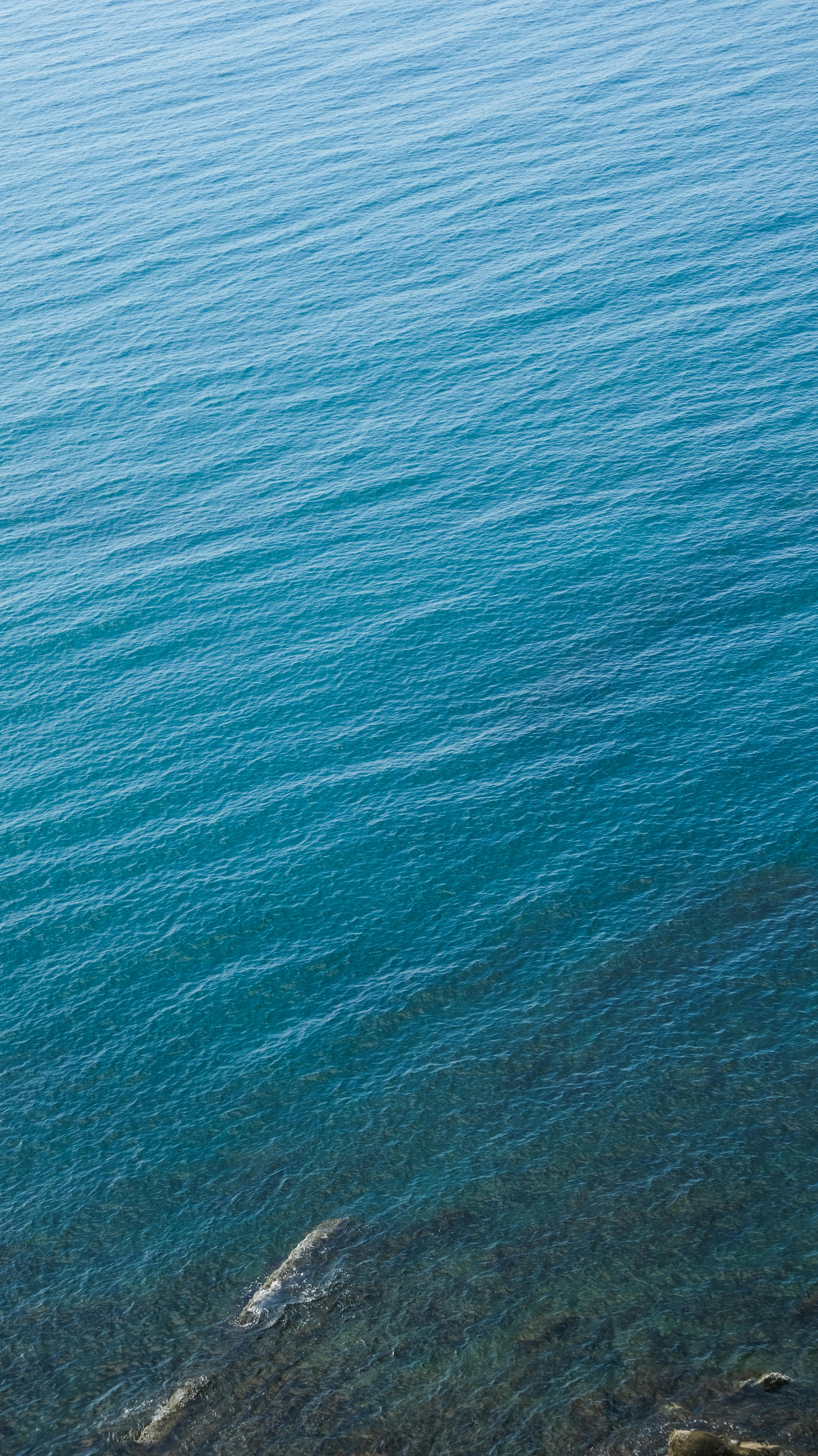 Sea View Photos, Download The BEST Free Sea View Stock Photos & HD Images