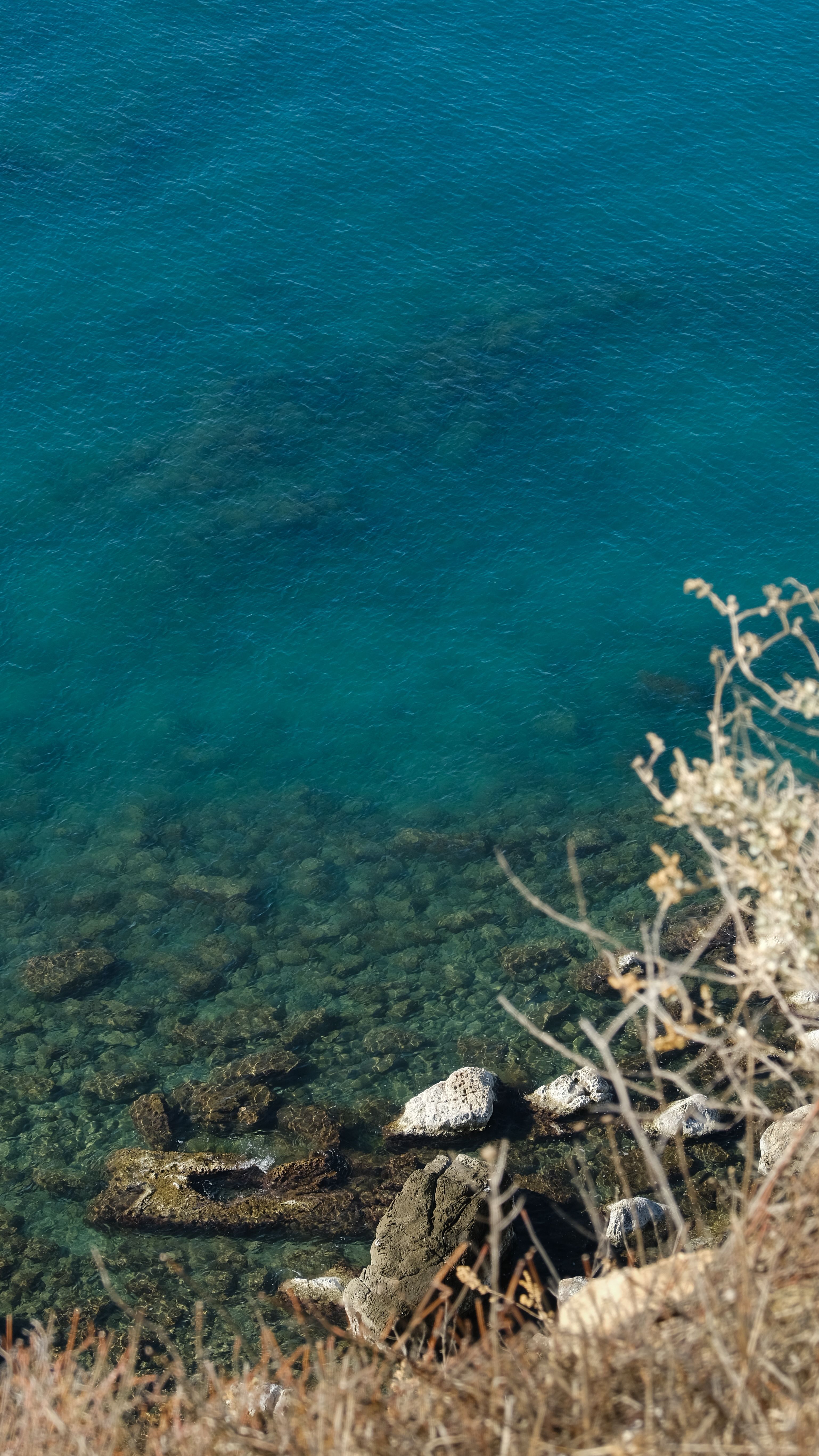 Crystal Clear Coastal Waters with Rocky Shoreline · Free Stock Photo