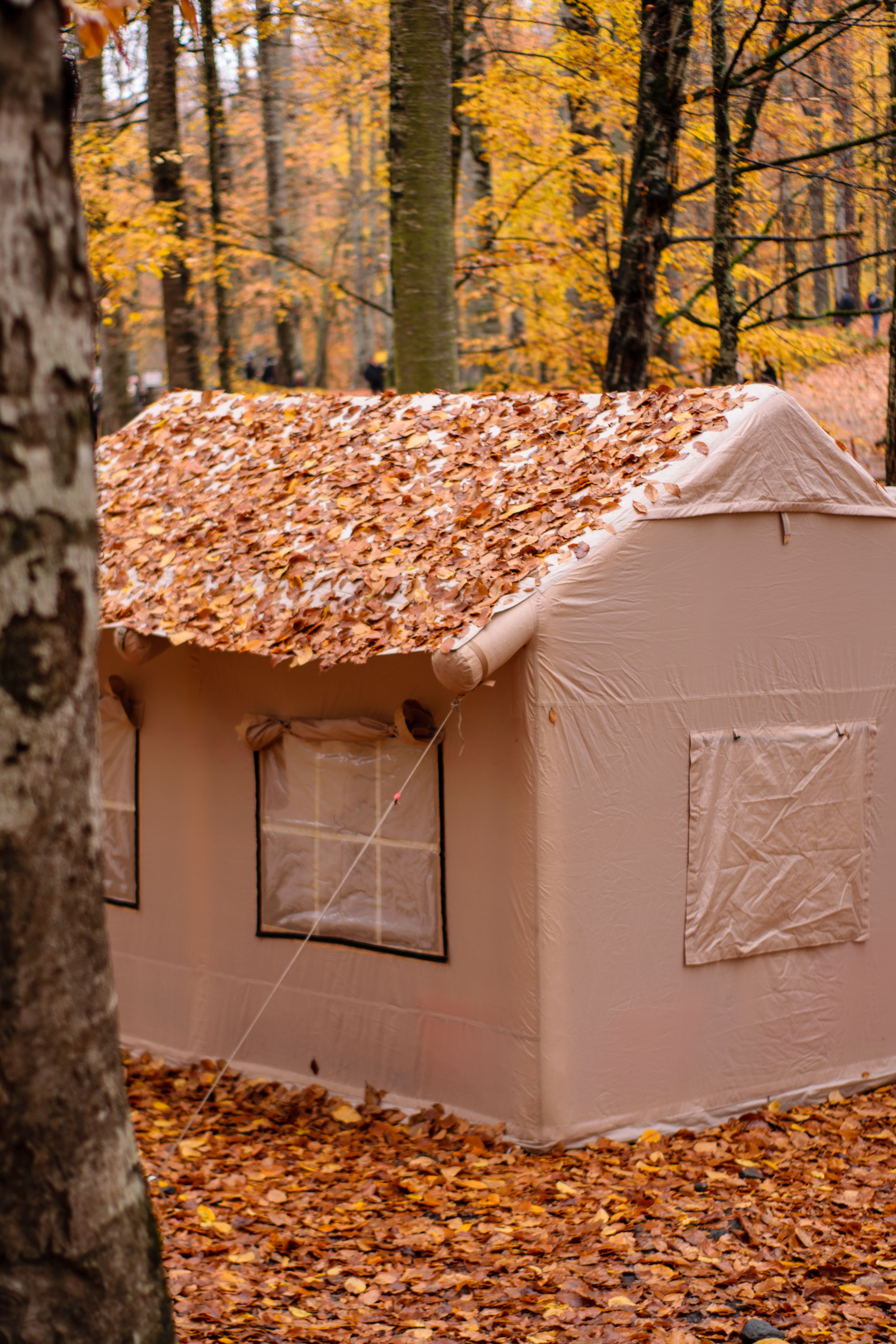 Cozy Tent Covered with Autumn Leaves in Forest · Free Stock Photo
