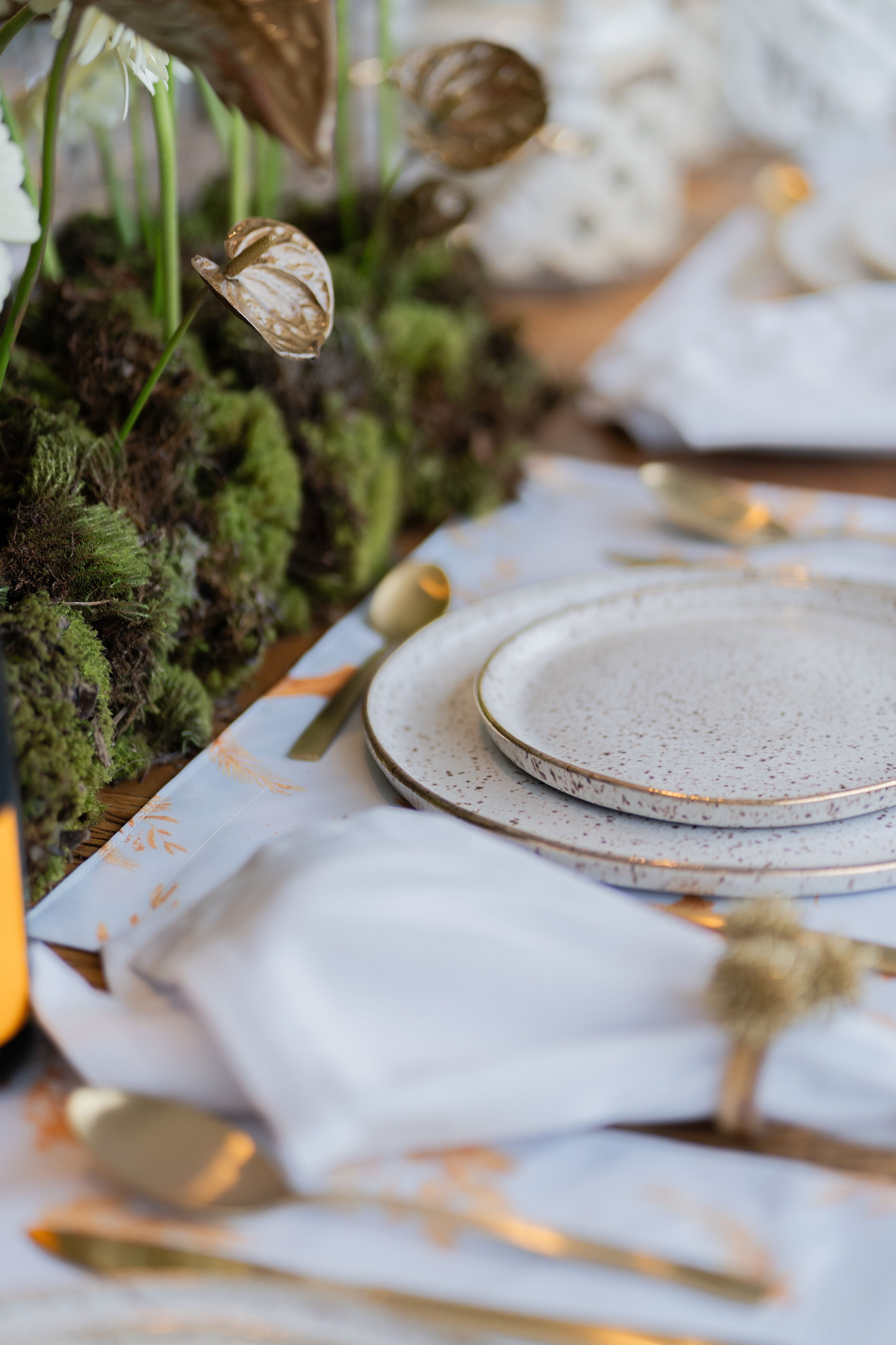 Table Napkin on Plate · Free Stock Photo