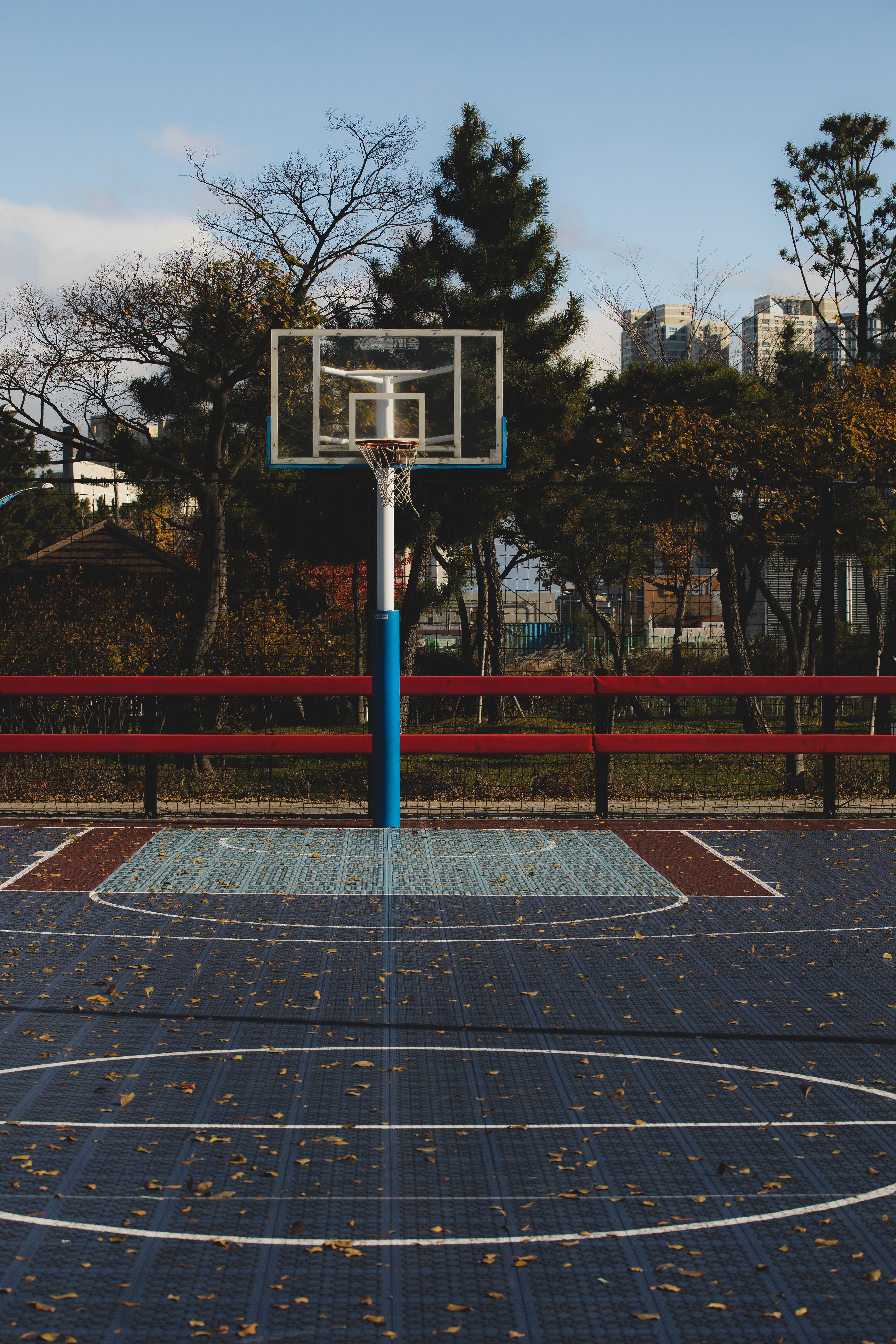 Basketball Athletics Photos, Download The BEST Free Basketball ...