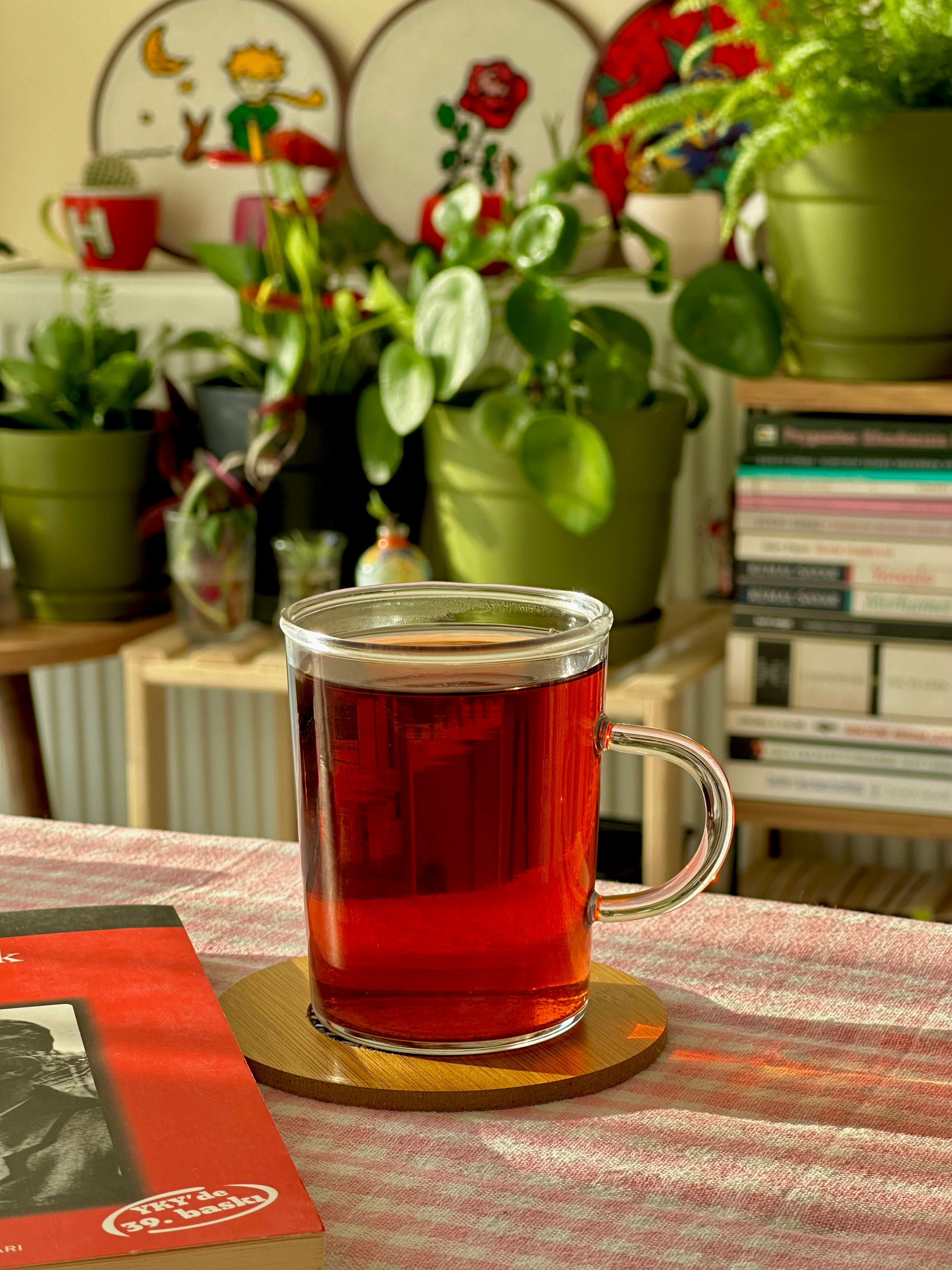 Cozy Indoor Tea Setting with Plants · Free Stock Photo