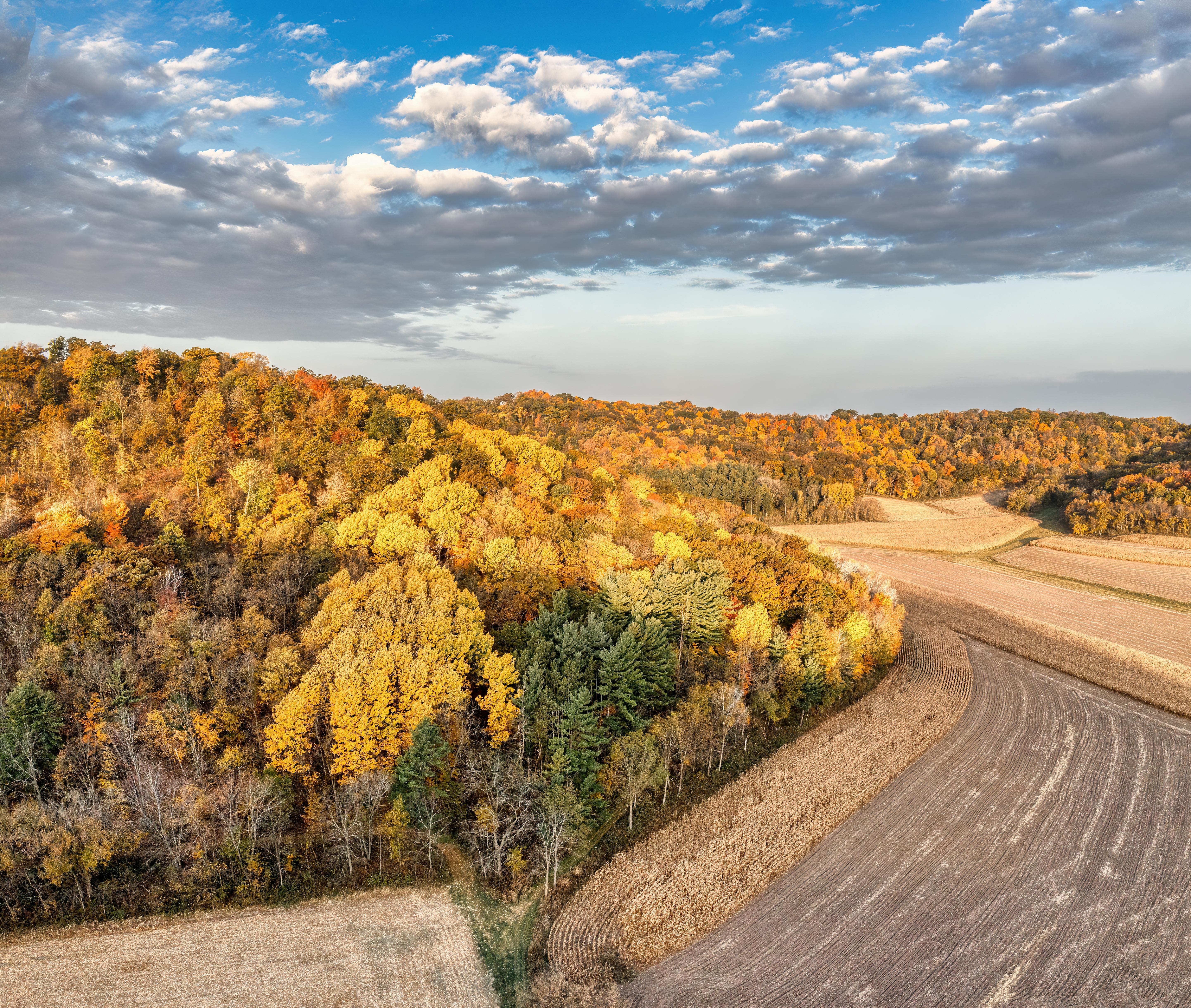 Autumn Landscape in Nelson, Wisconsin Farmlands · Free Stock Photo