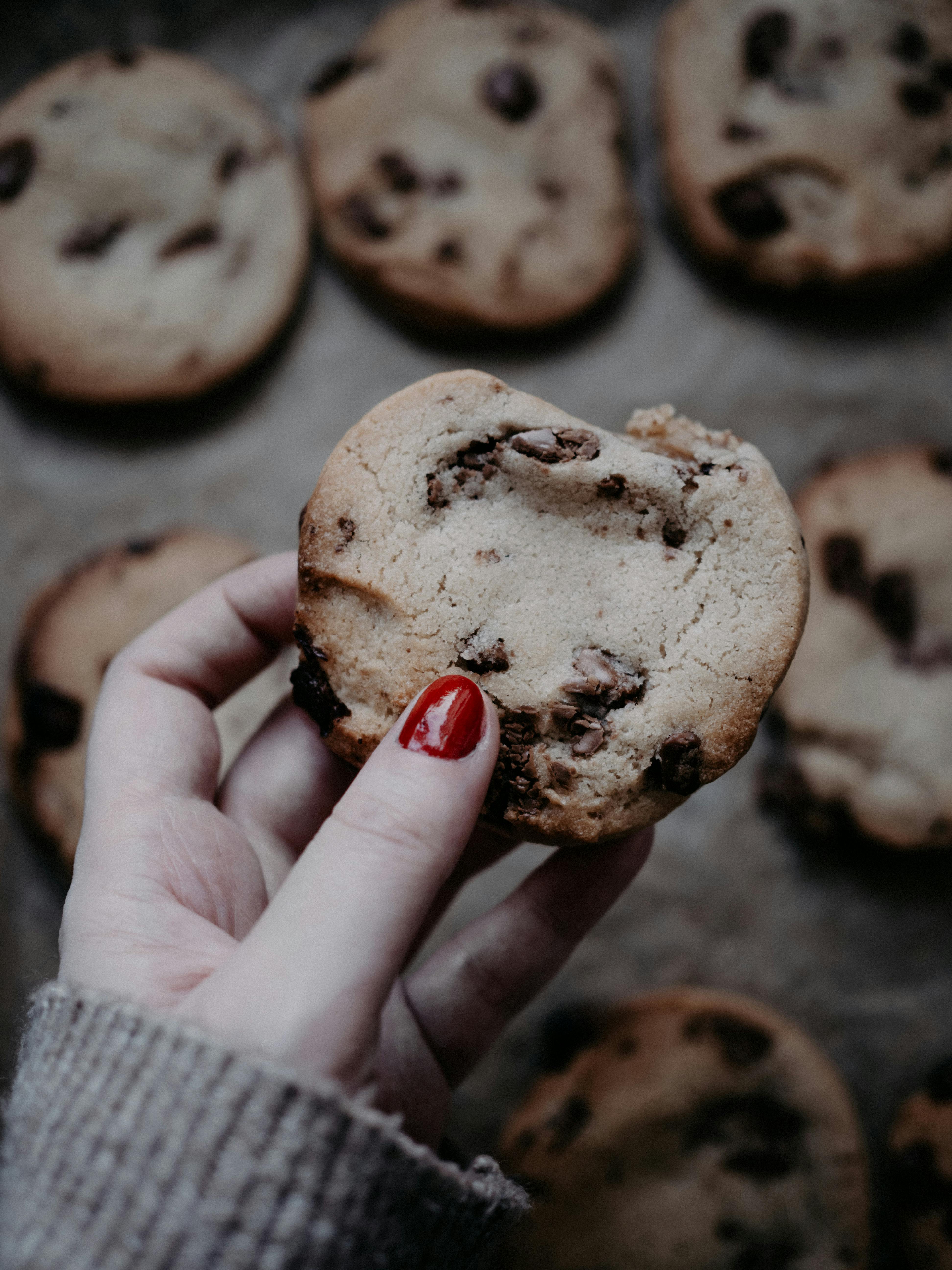 Freshly Baked Chocolate Chip Cookie in Hand · Free Stock Photo