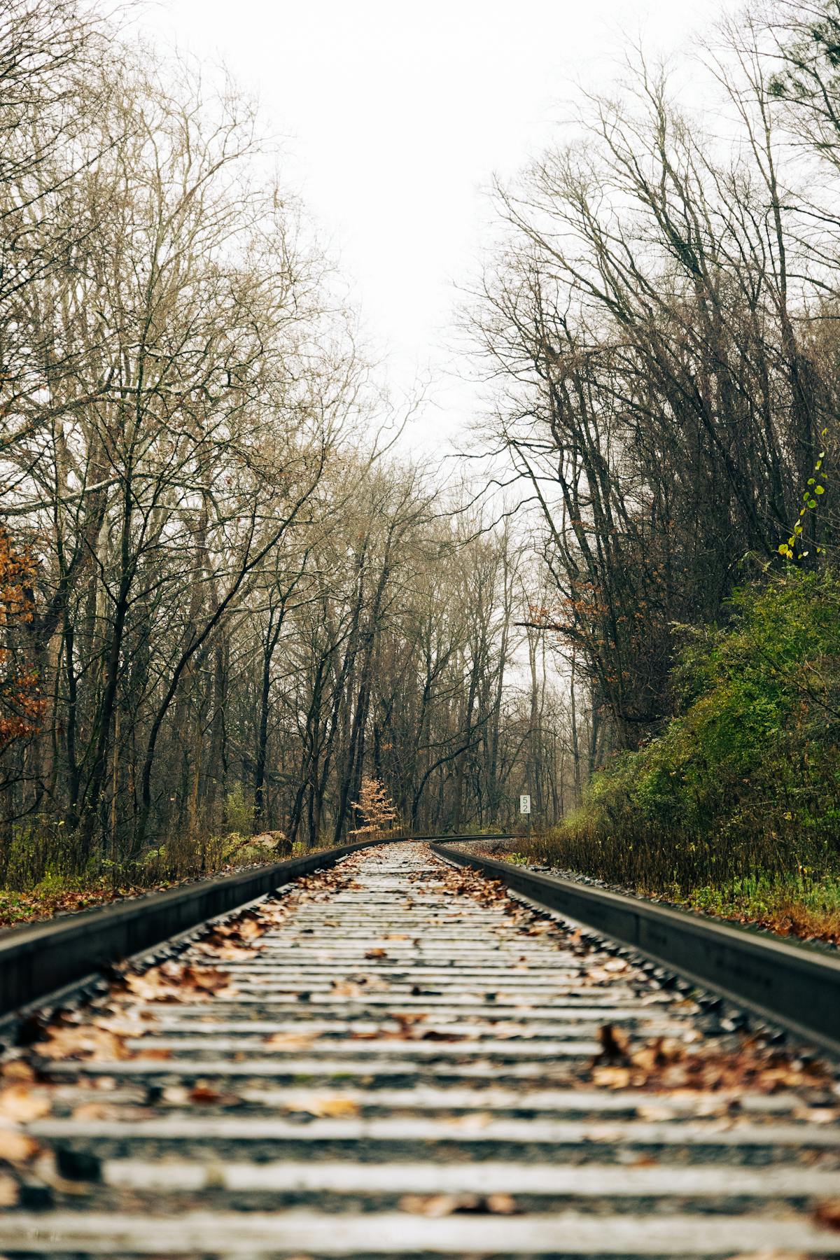 Railroad Track Photos, Download The BEST Free Railroad Track Stock ...