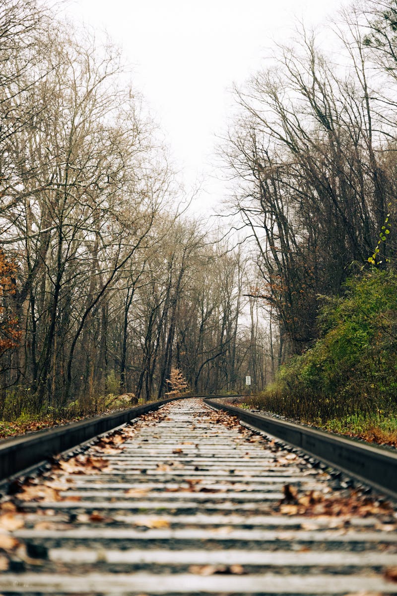 Railroad Track Photos, Download The BEST Free Railroad Track Stock ...