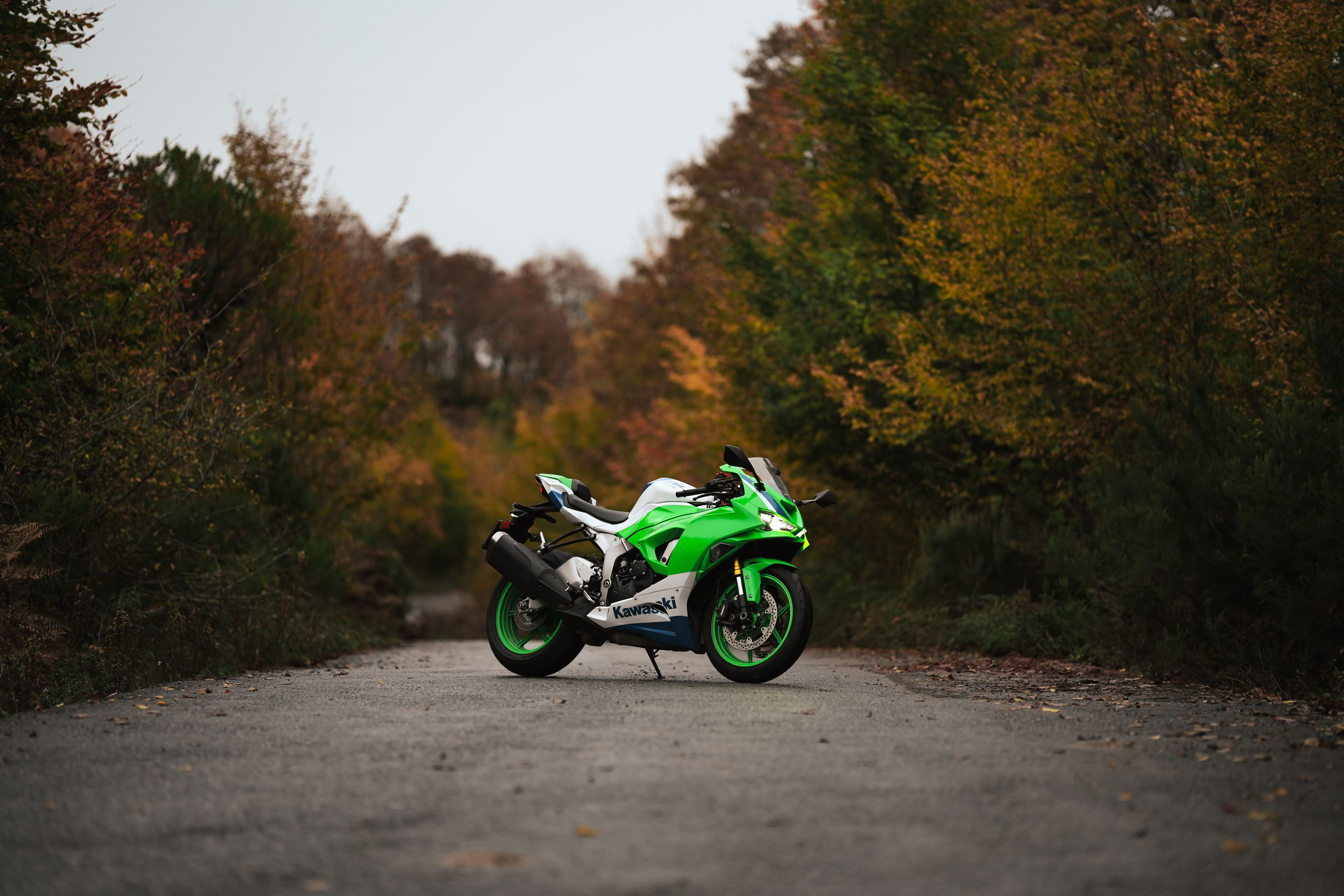 Green Kawasaki Motorcycle in Vibrant Autumn Scene · Free Stock Photo