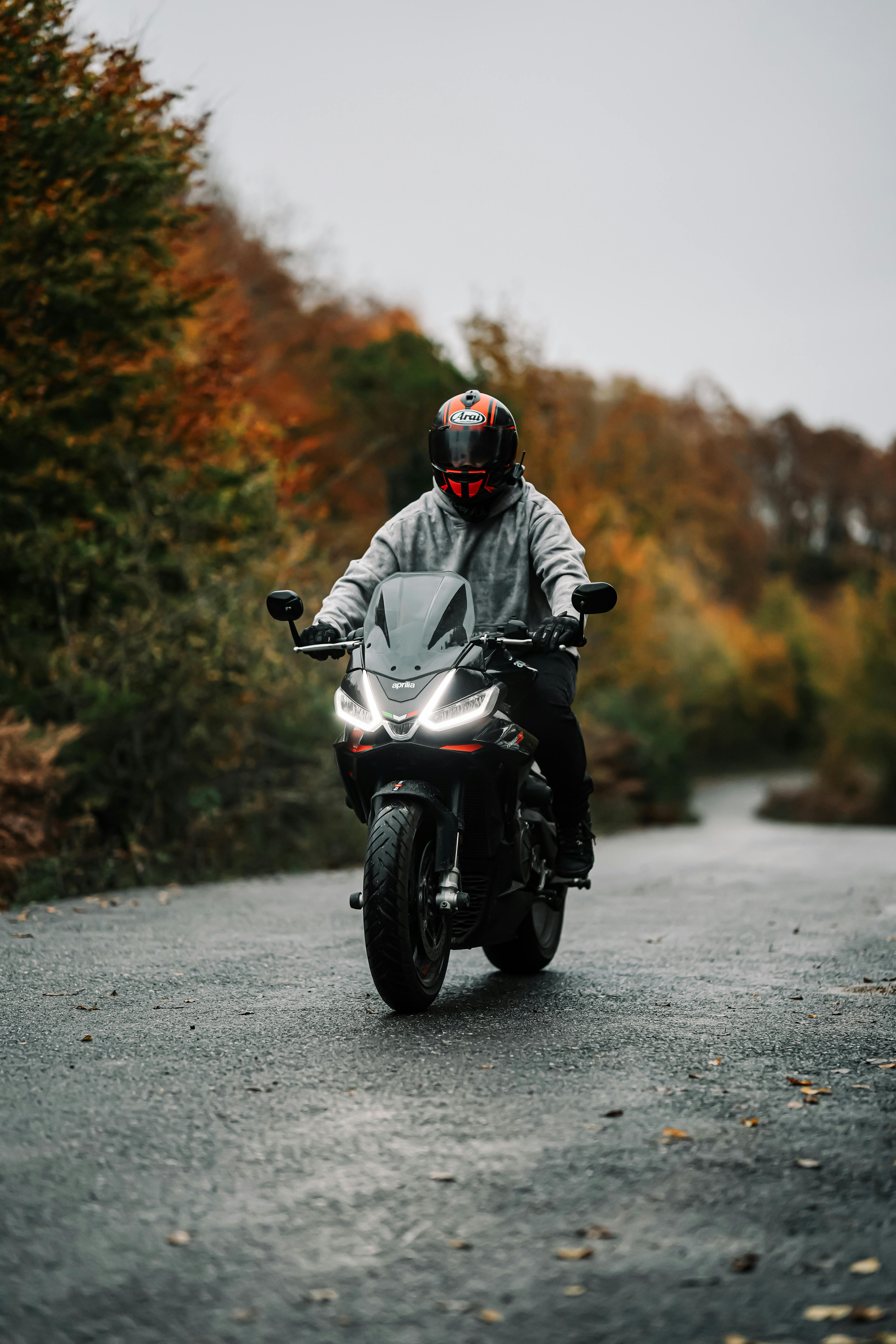 Motorcyclist Riding in Scenic Autumn Forest · Free Stock Photo