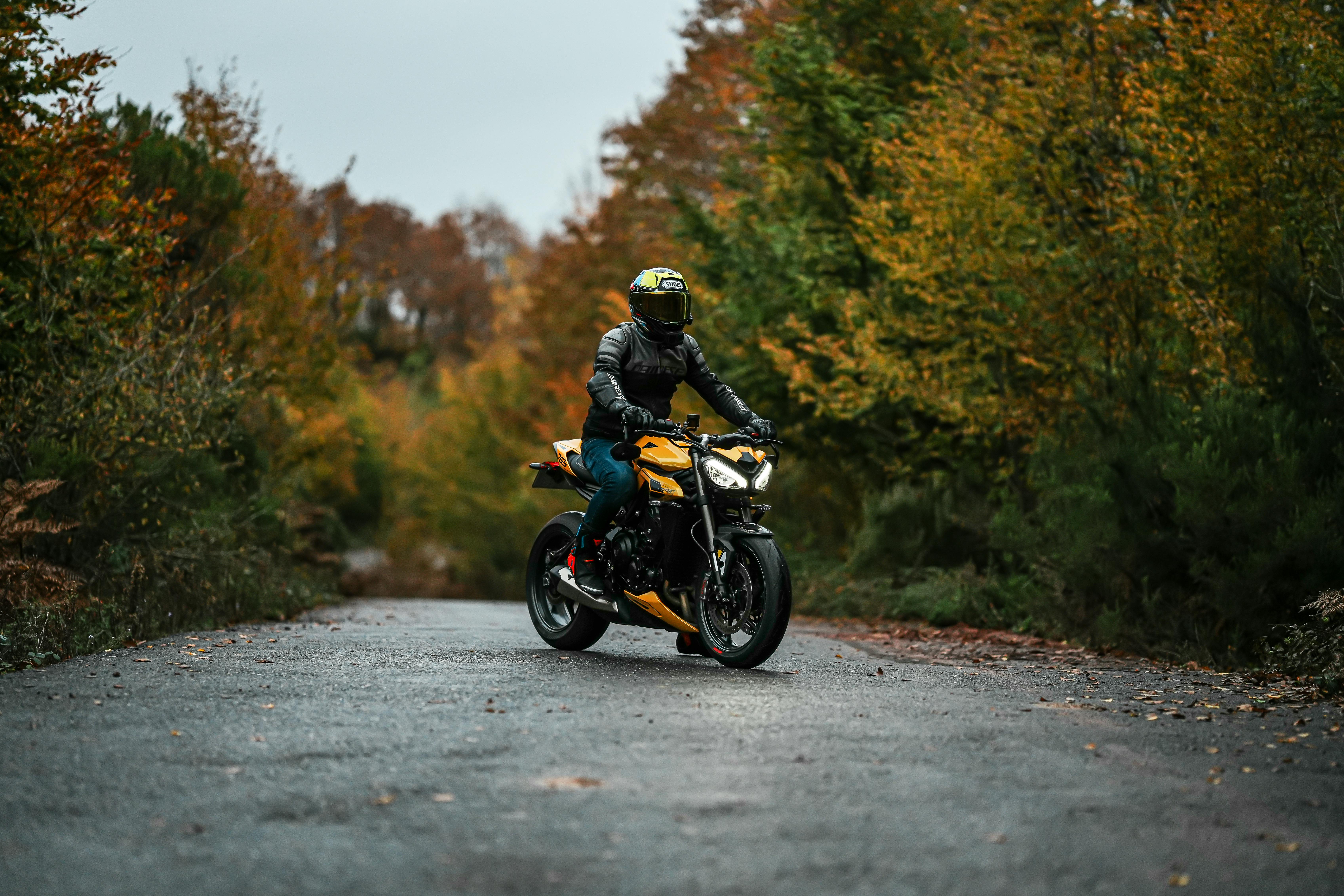 Motorcyclist Riding Through Autumn Forest · Free Stock Photo