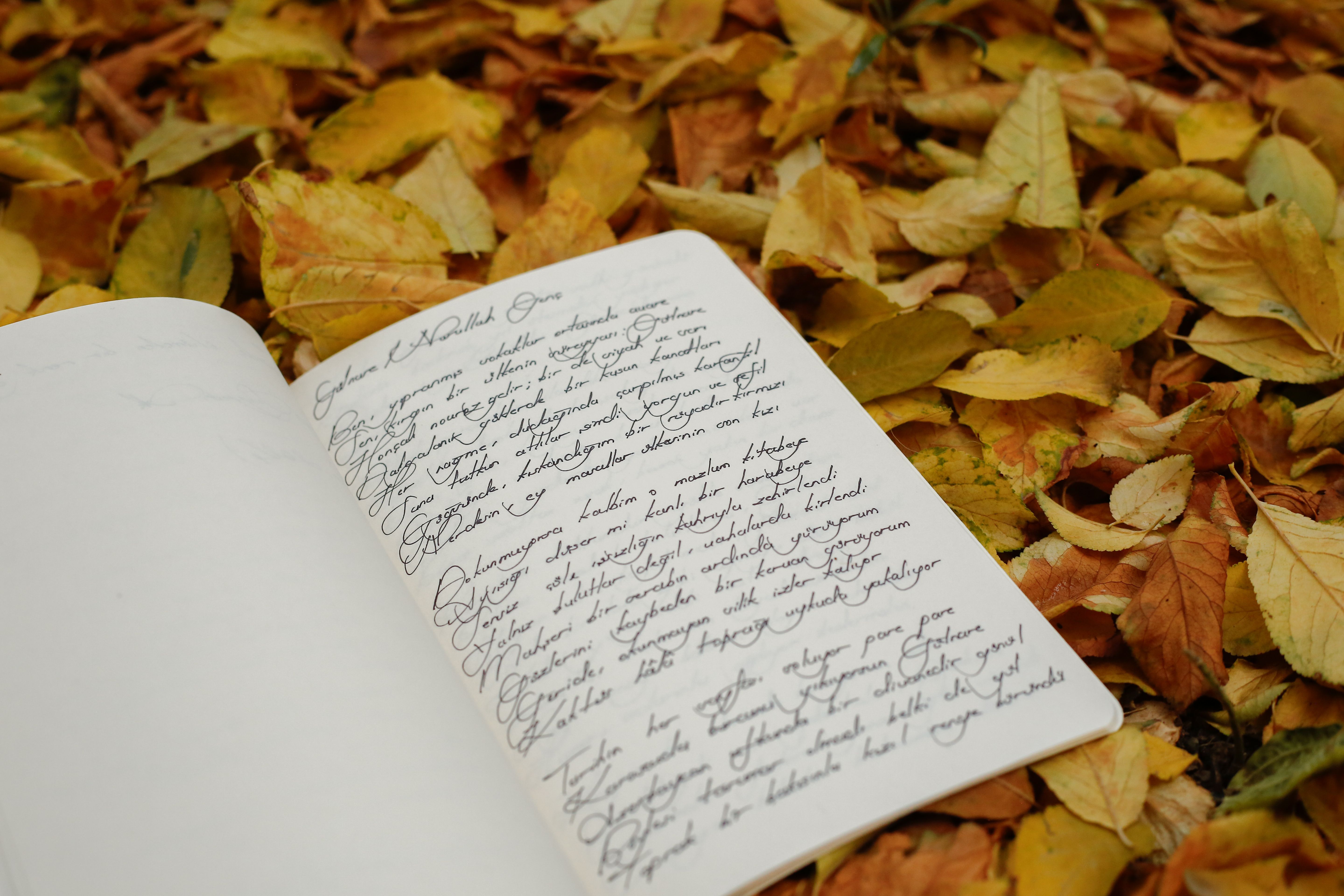 Open Notebook Amidst Autumn Leaves · Free Stock Photo