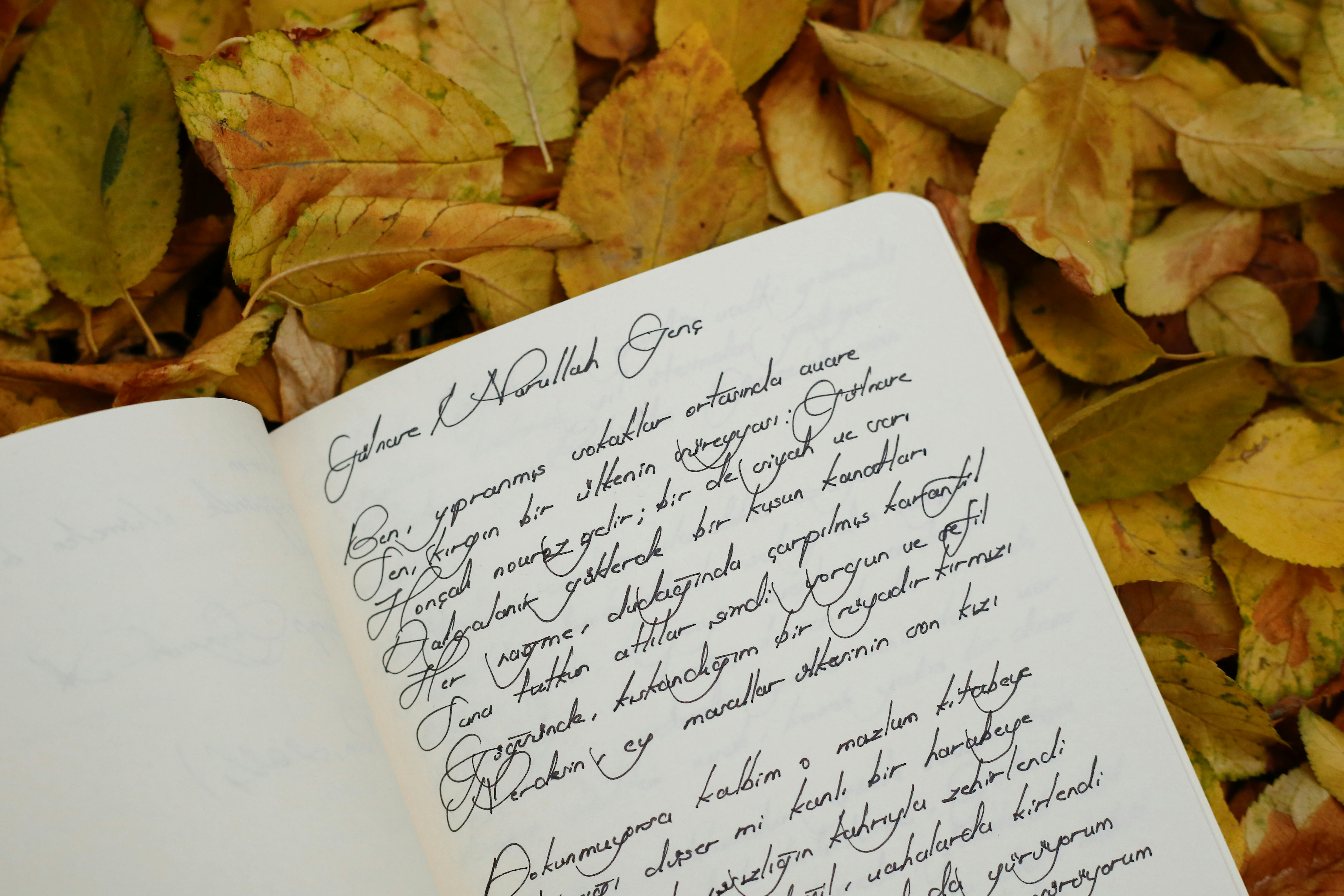 Notes Fallen Photos, Download The BEST Free Notes Fallen Stock Photos ...