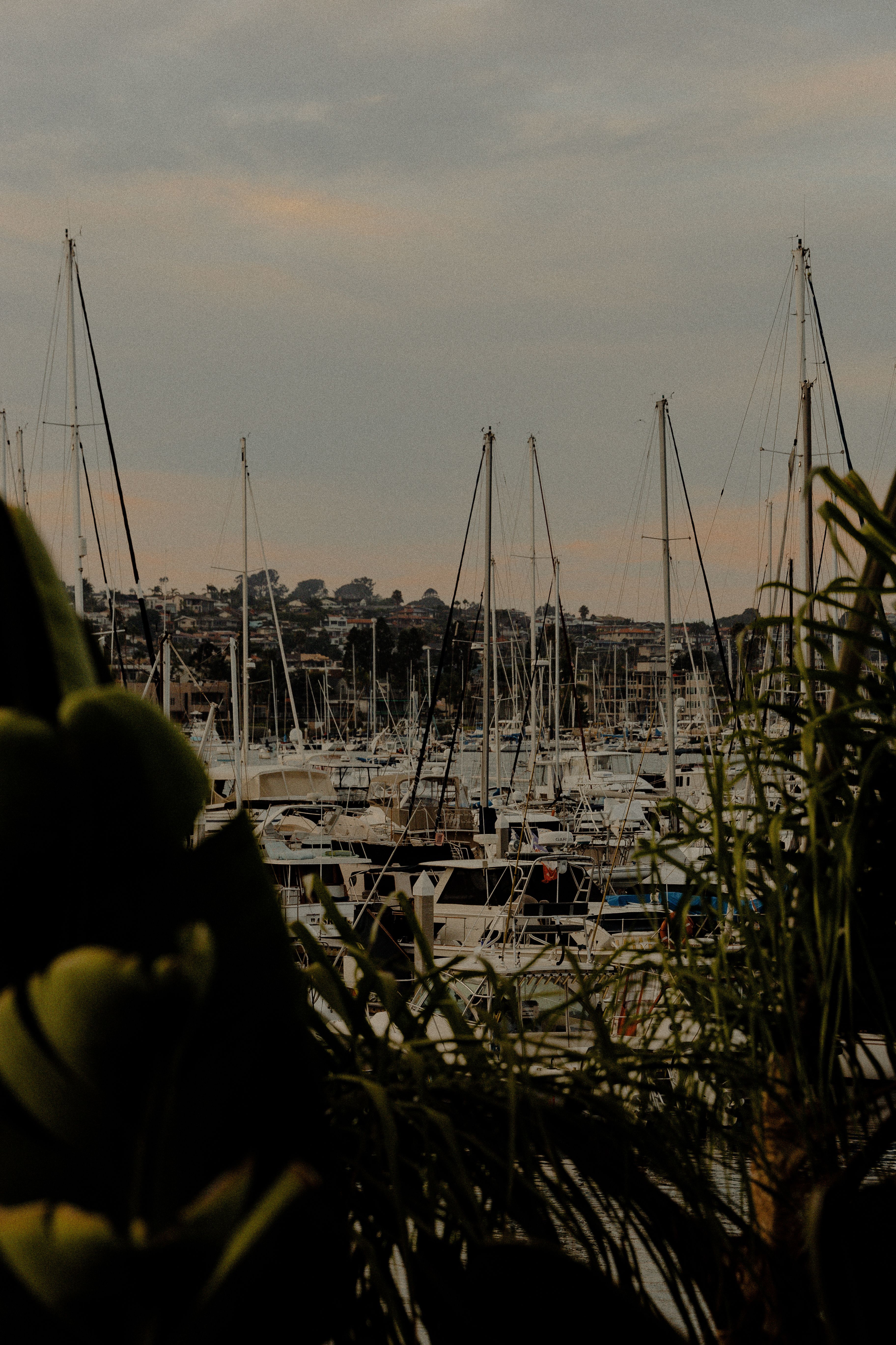 Boats · Free Stock Photo