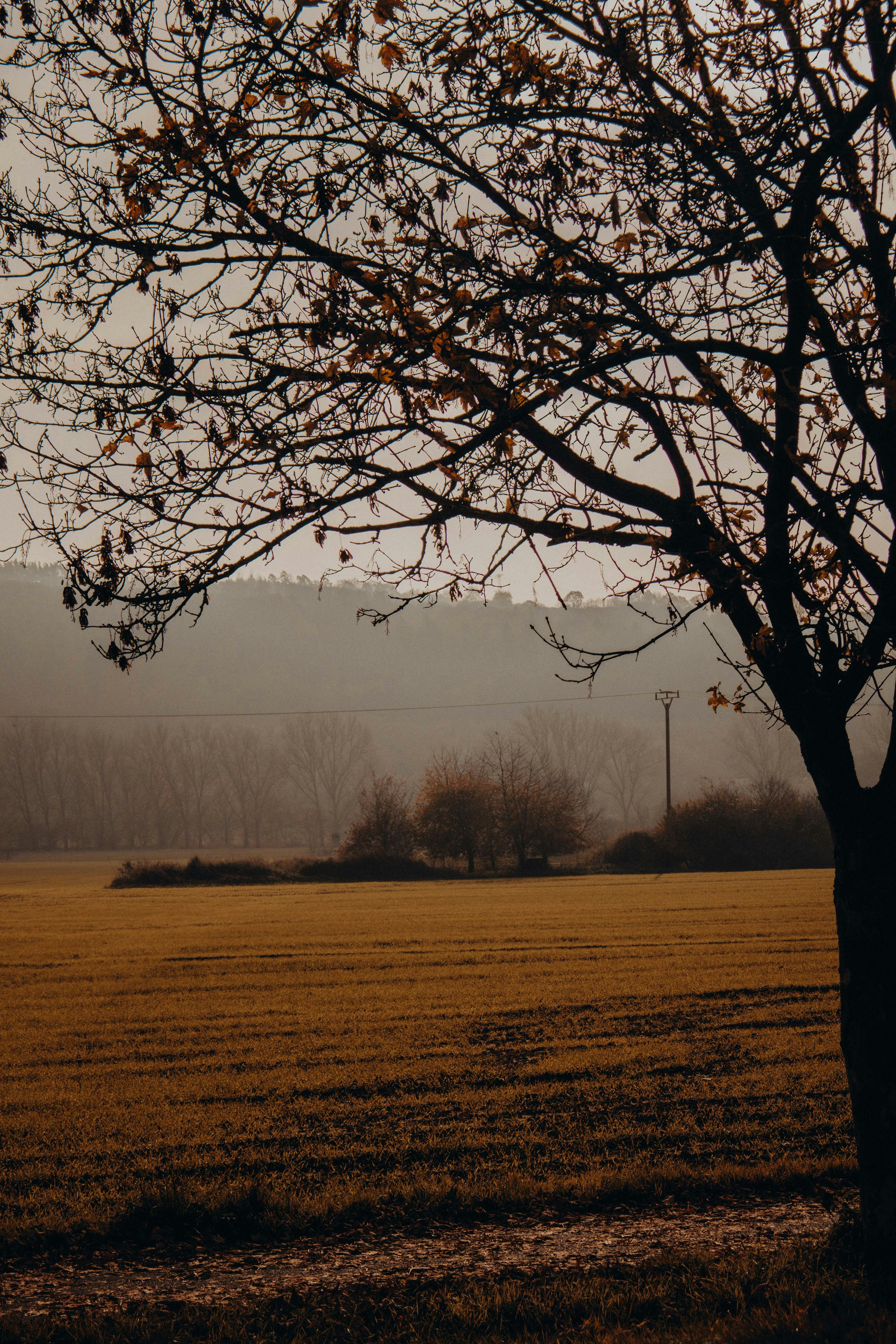 Land Images Photos, Download The BEST Free Land Images Stock Photos ...