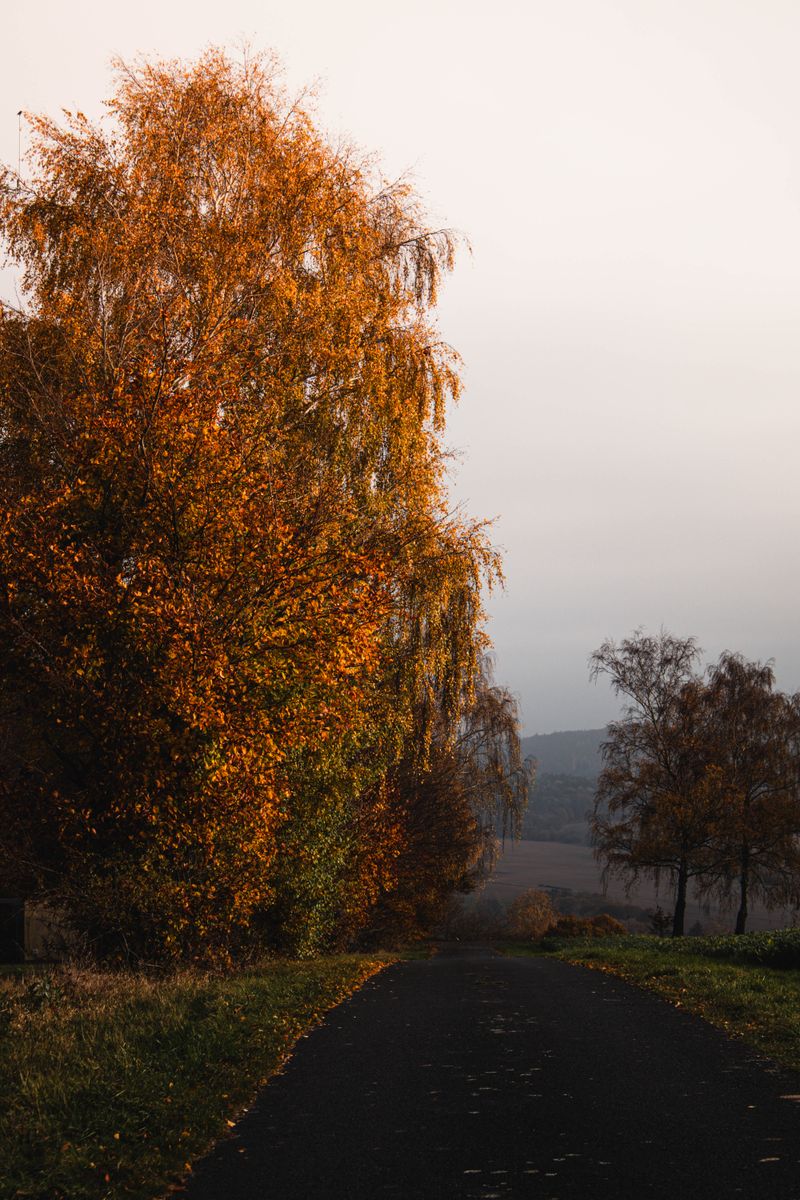 Fall Wallpaper Photos, Download The BEST Free Fall Wallpaper Stock ...