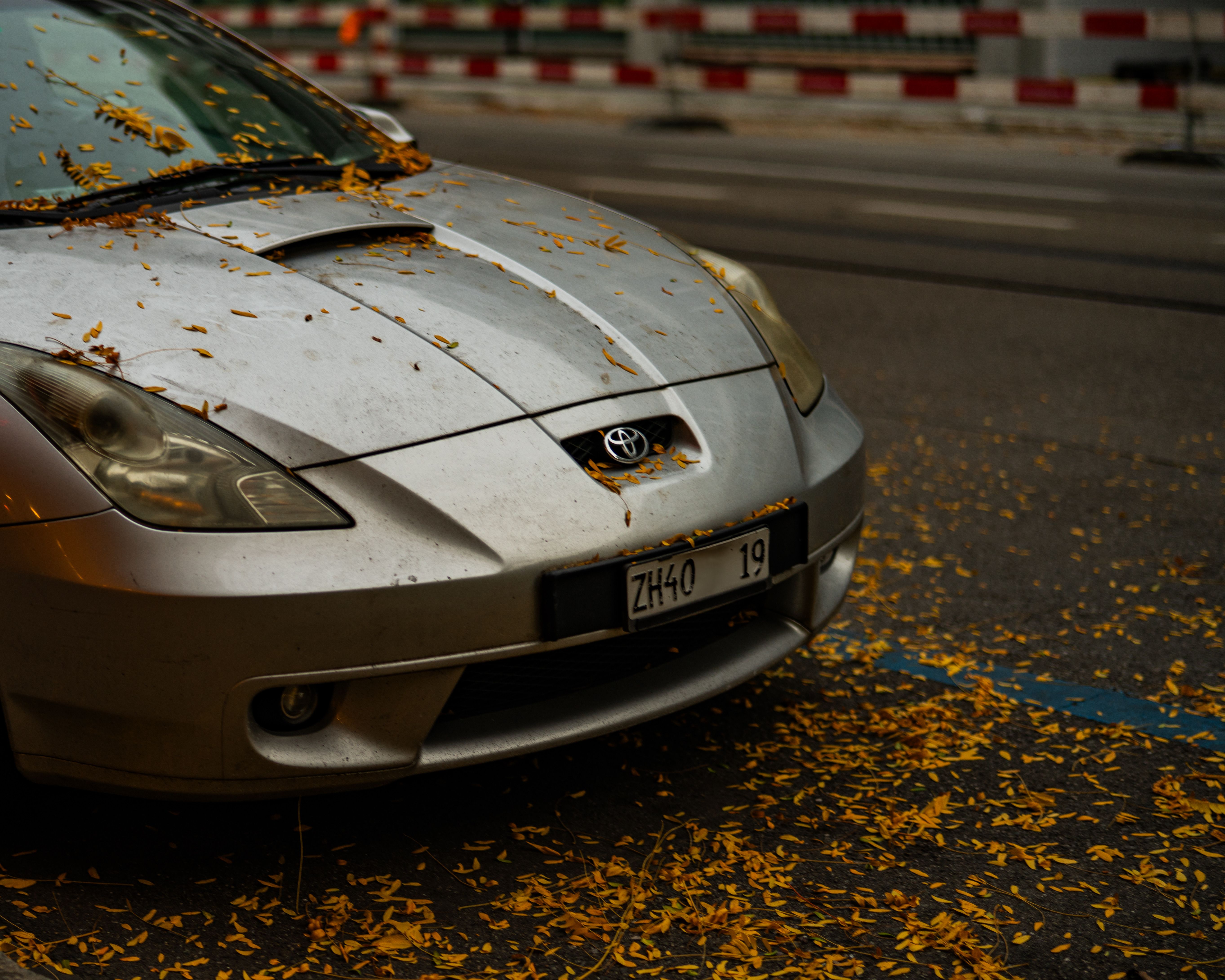 Silver Car Covered in Autumn Leaves on City Street · Free Stock Photo