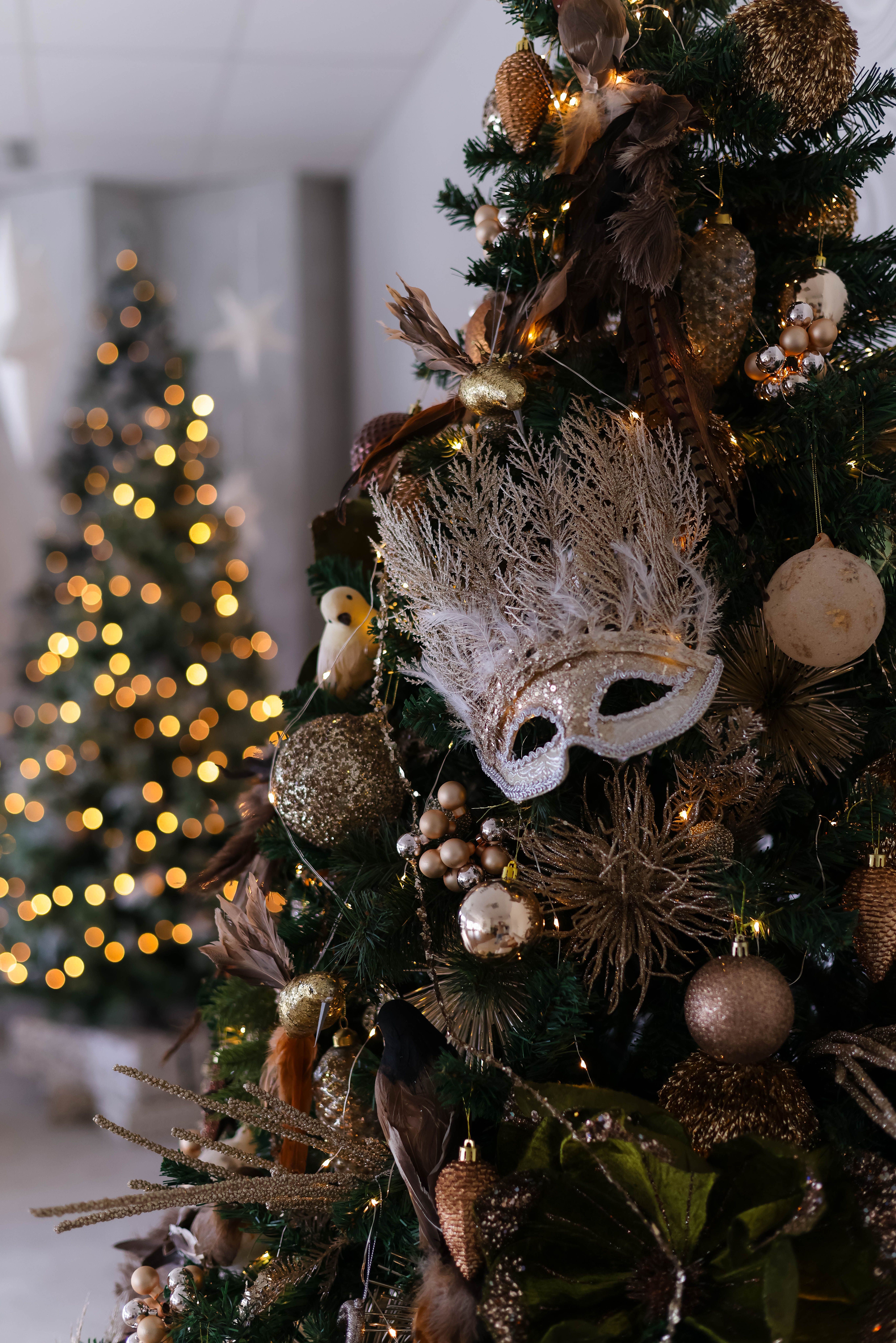 Festive Christmas Trees with Ornate Decorations · Free Stock Photo