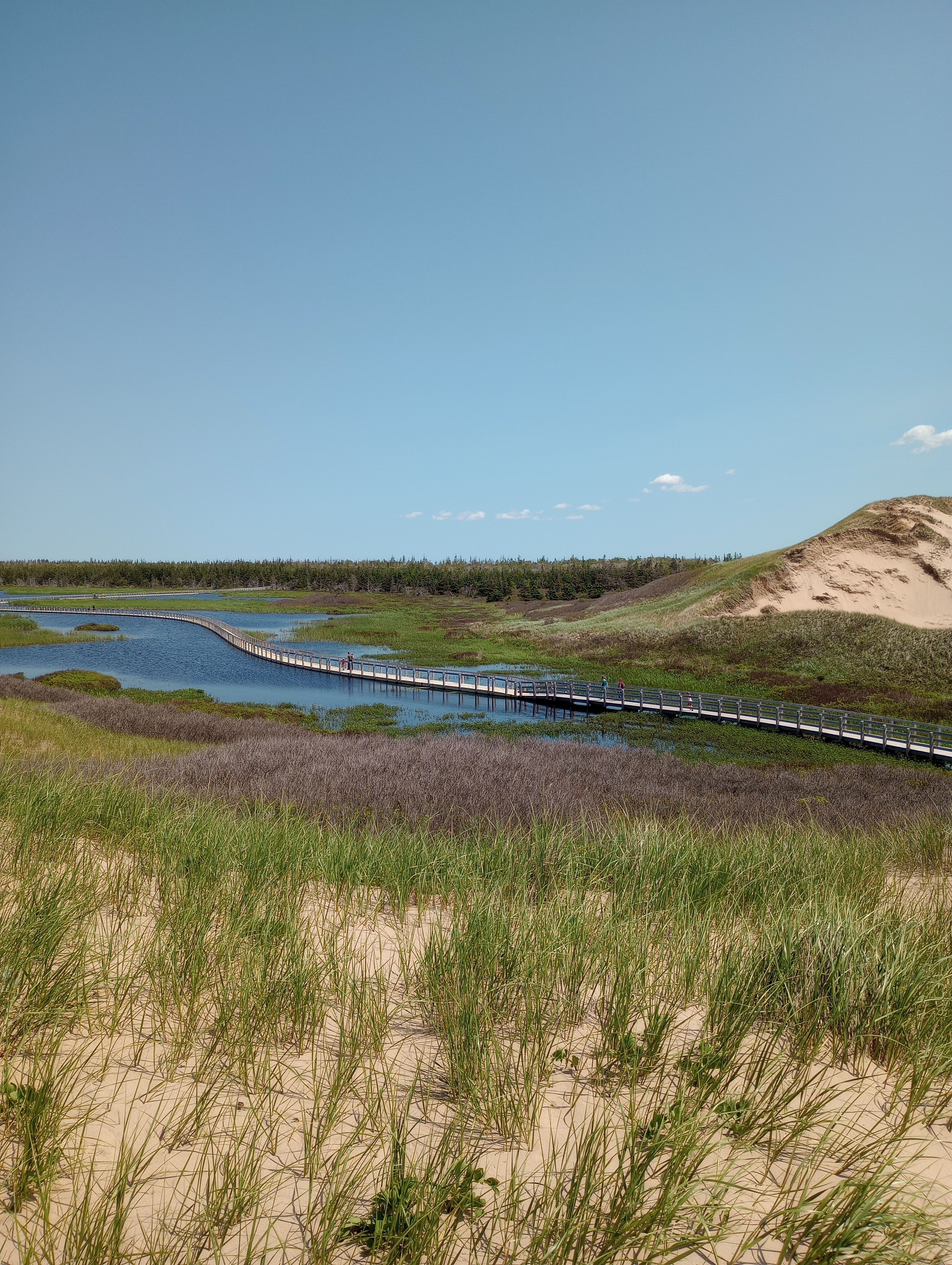 Scenic View of Boardwalk over Sand Dunes · Free Stock Photo