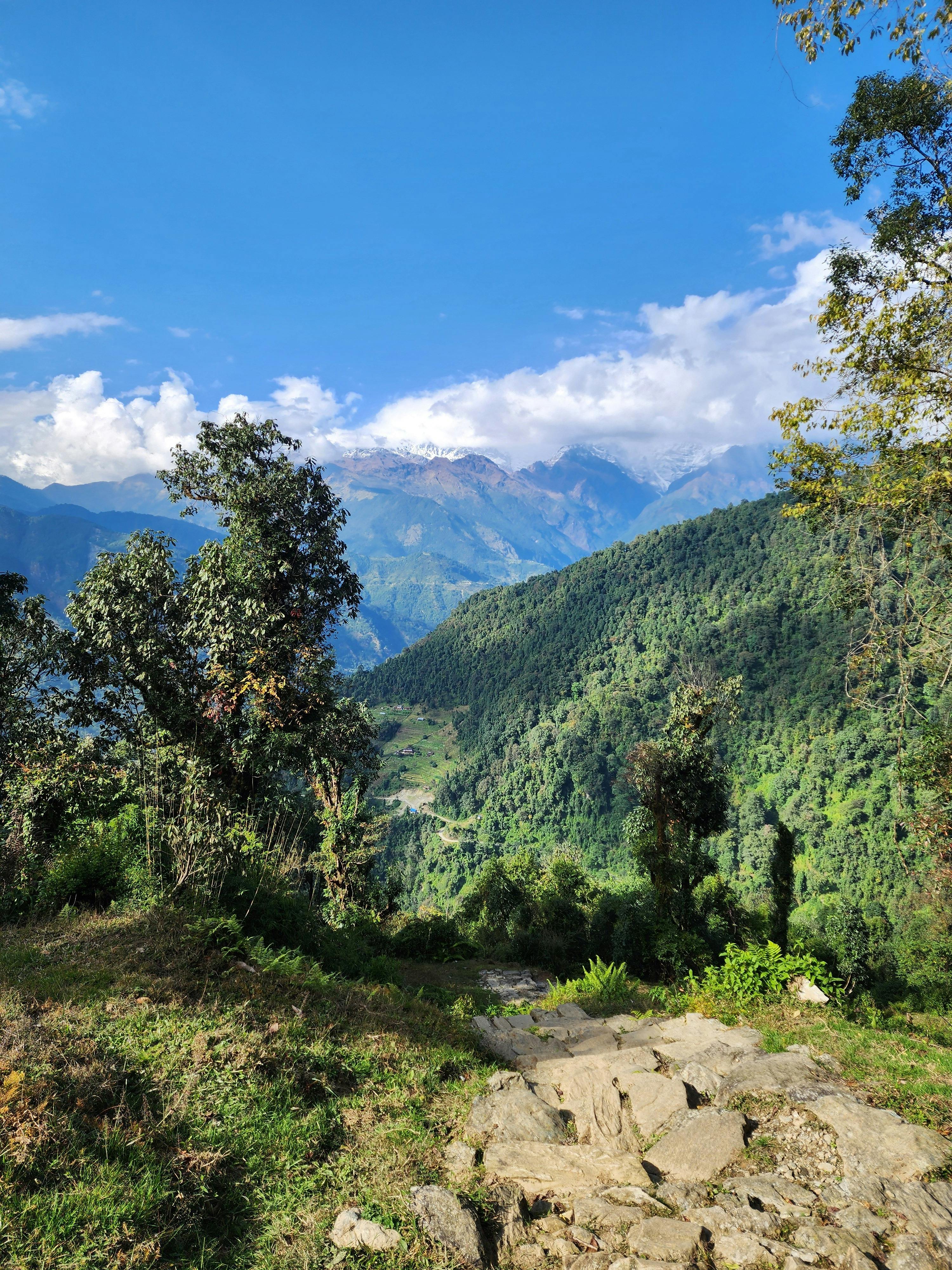 Scenic Himalayan Landscape with Lush Greenery · Free Stock Photo