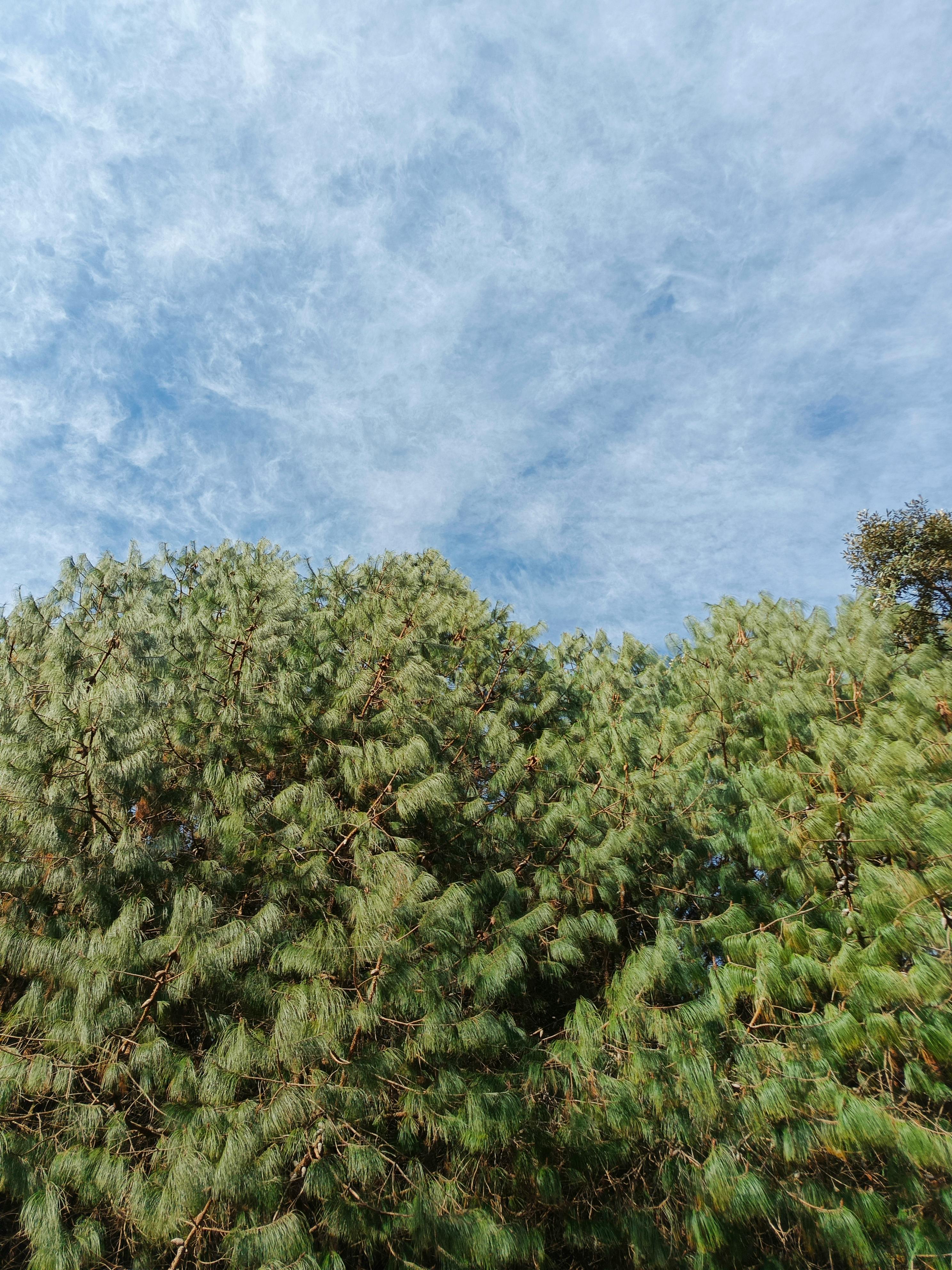 Scenery Shot Photos, Download The BEST Free Scenery Shot Stock Photos ...