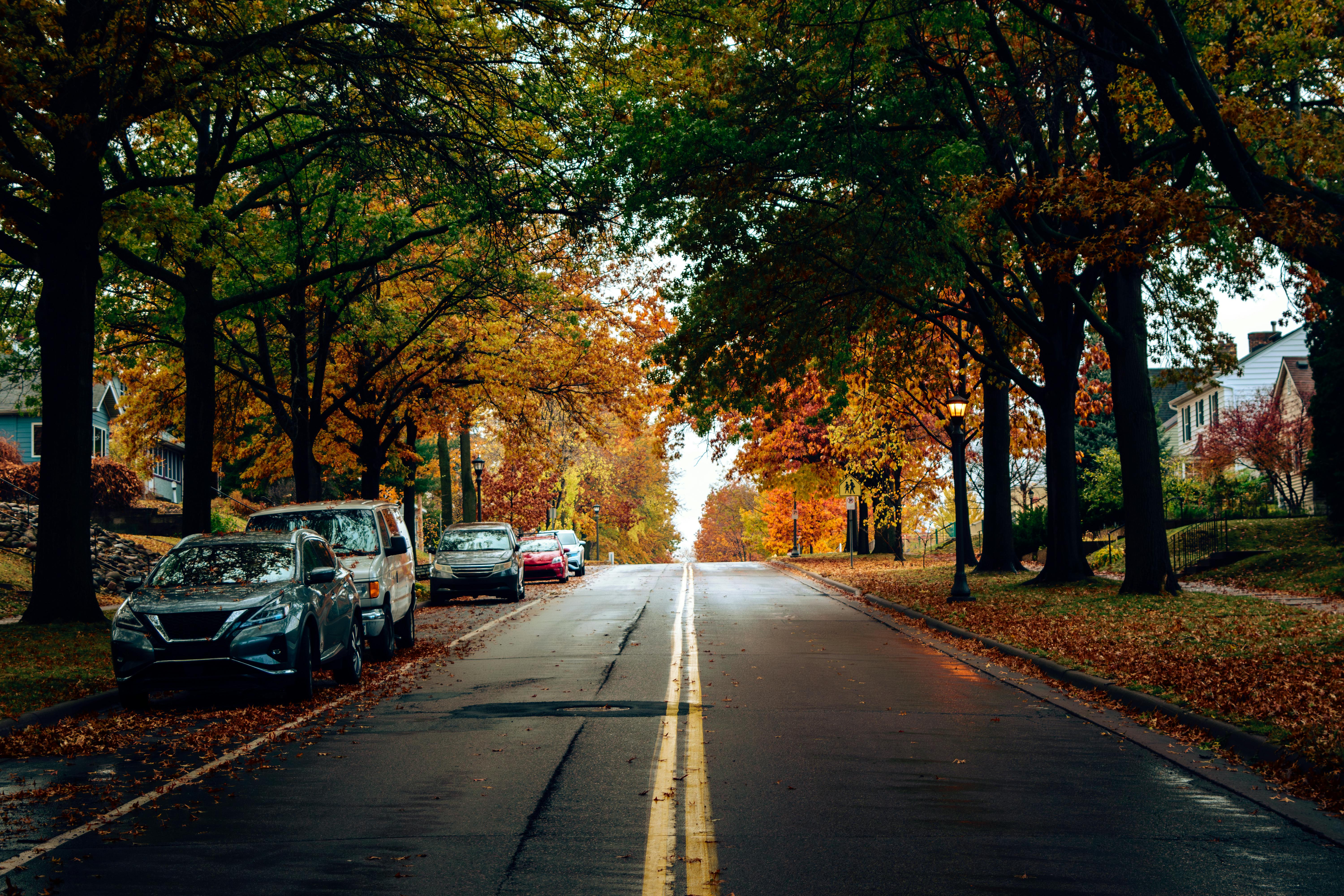 Charming Autumn Street Lined with Colorful Trees · Free Stock Photo