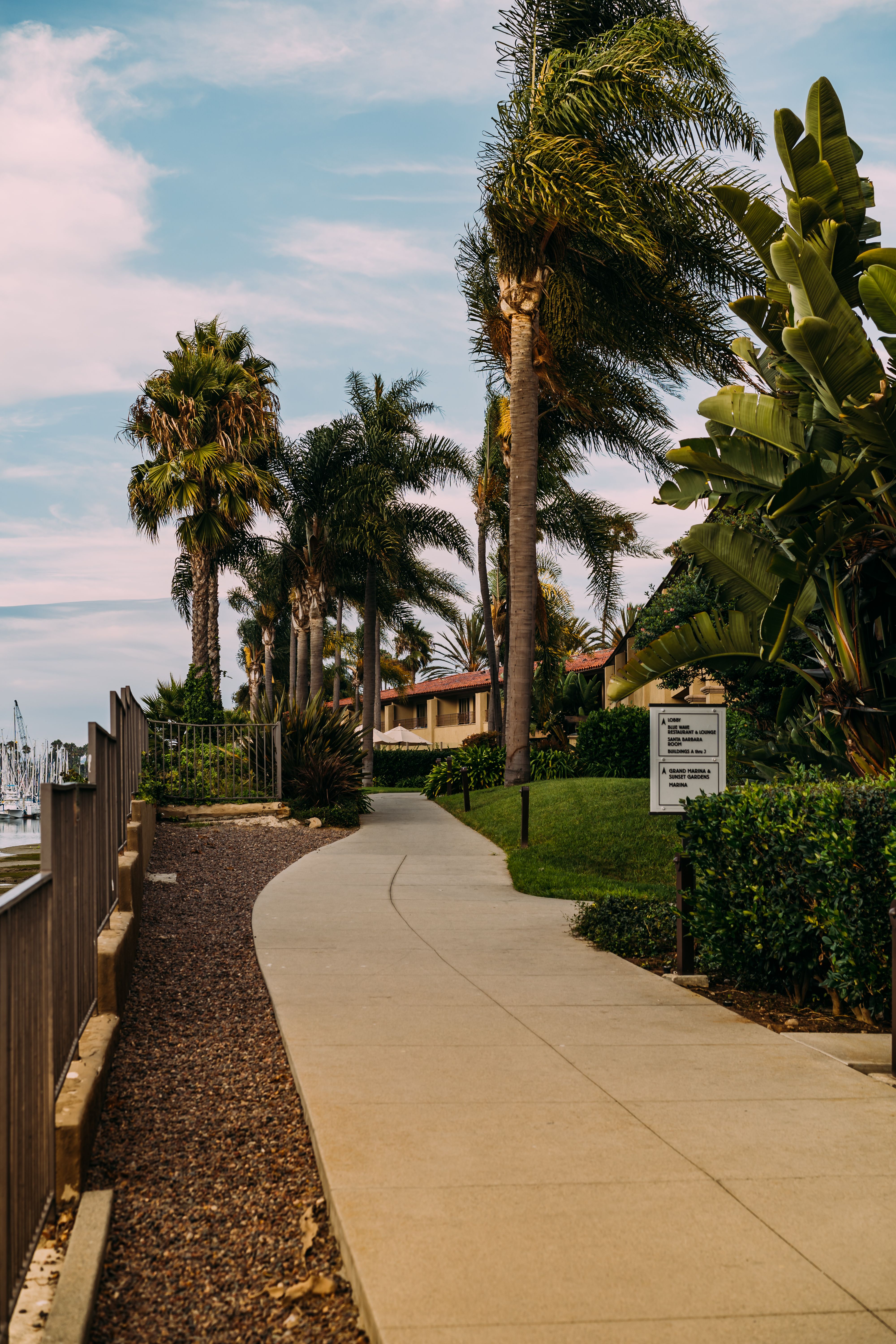Green Palm Trees · Free Stock Photo