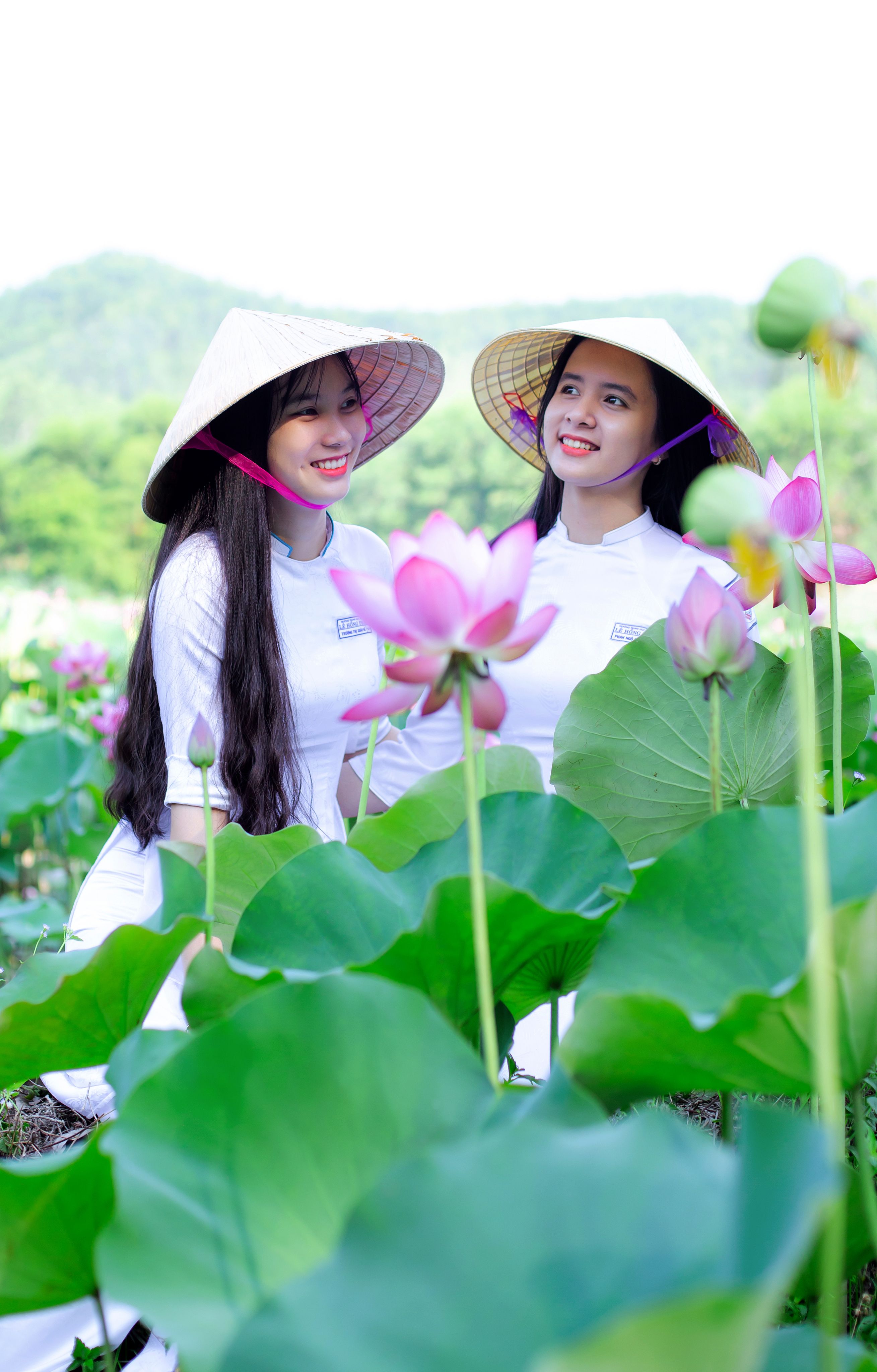 Two Women in Traditional Hats Among Lotus Flowers · Free Stock Photo