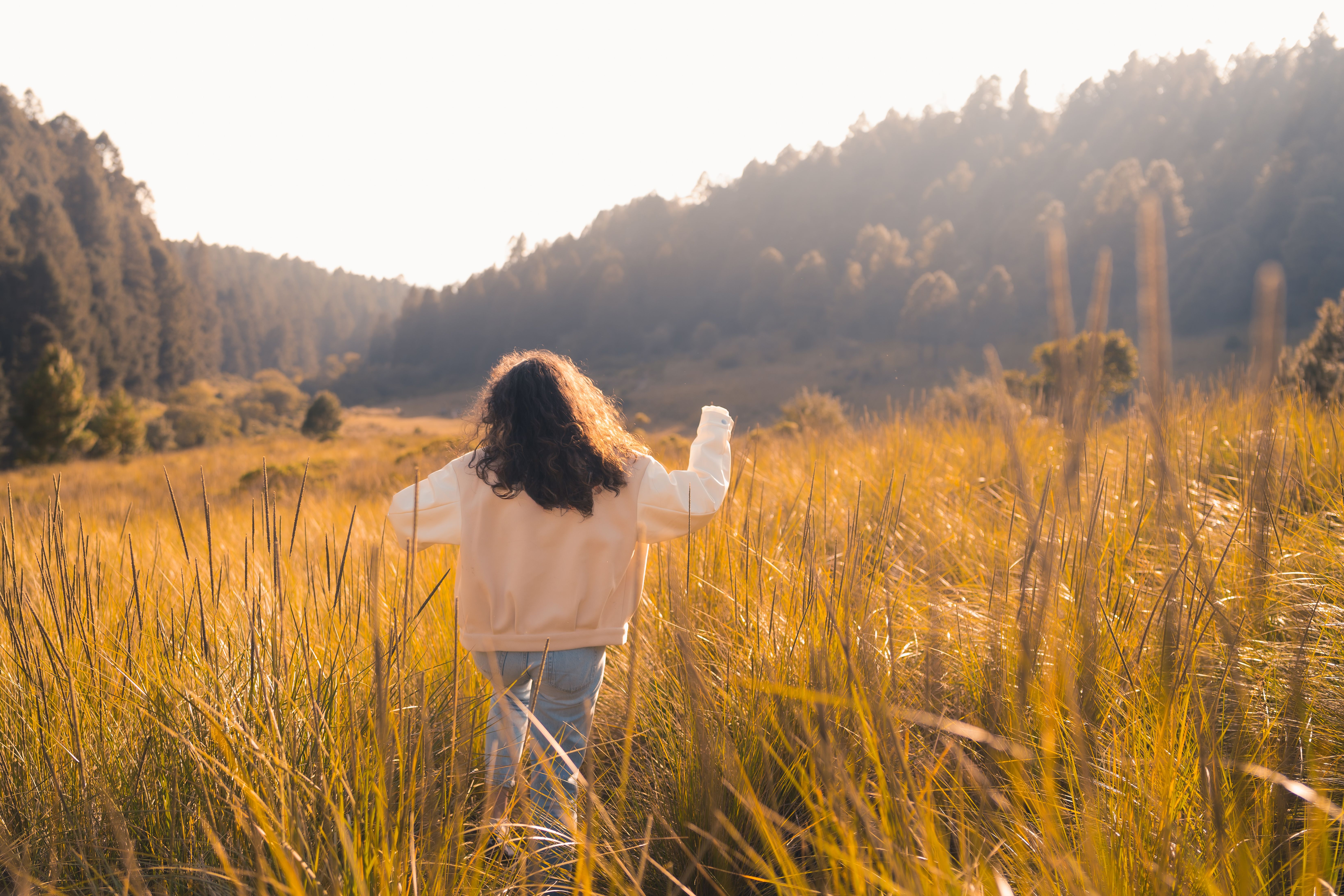 Child Exploring in a Sunlit Meadow · Free Stock Photo