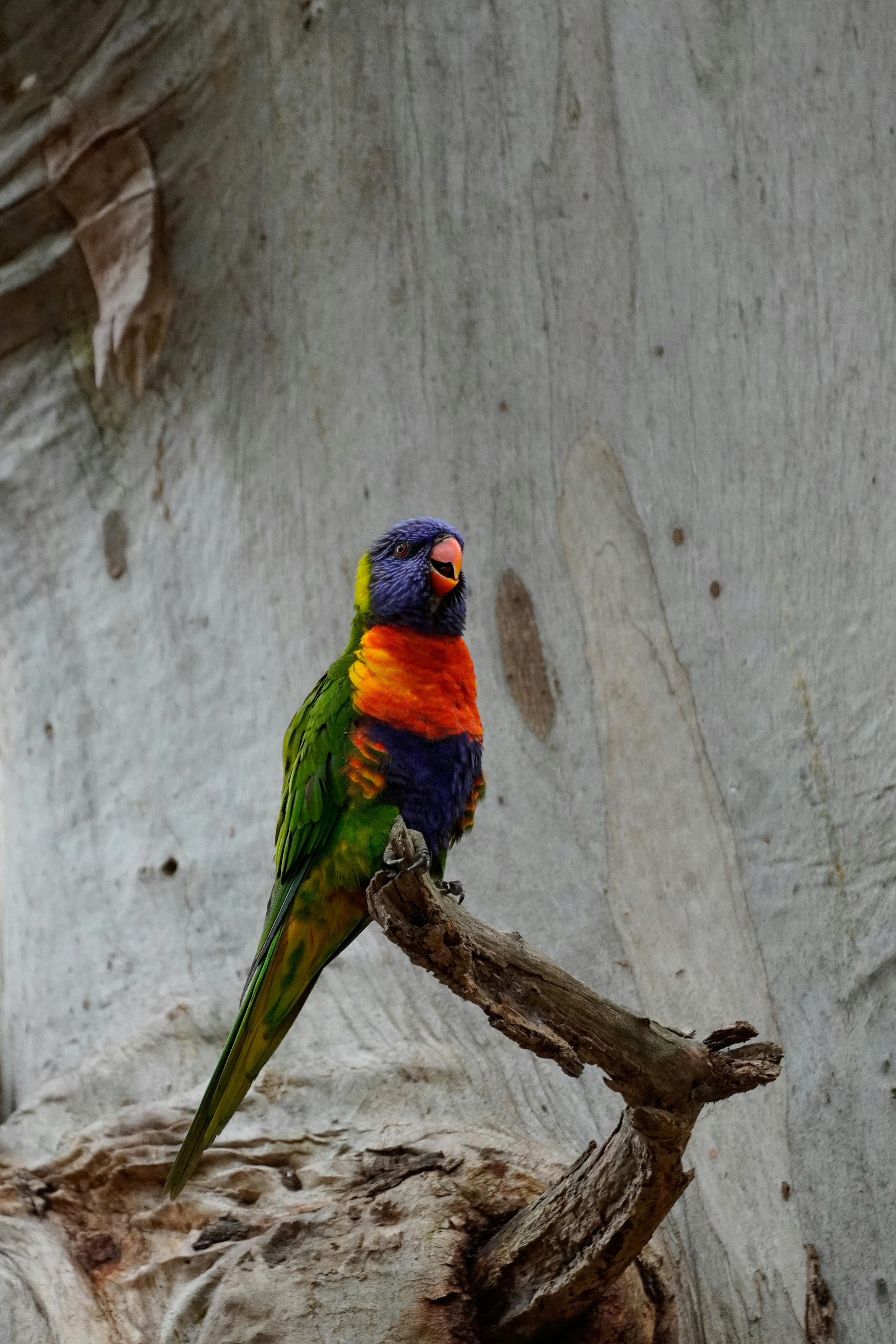 Natural Environment Photos, Download The BEST Free Natural Environment ...