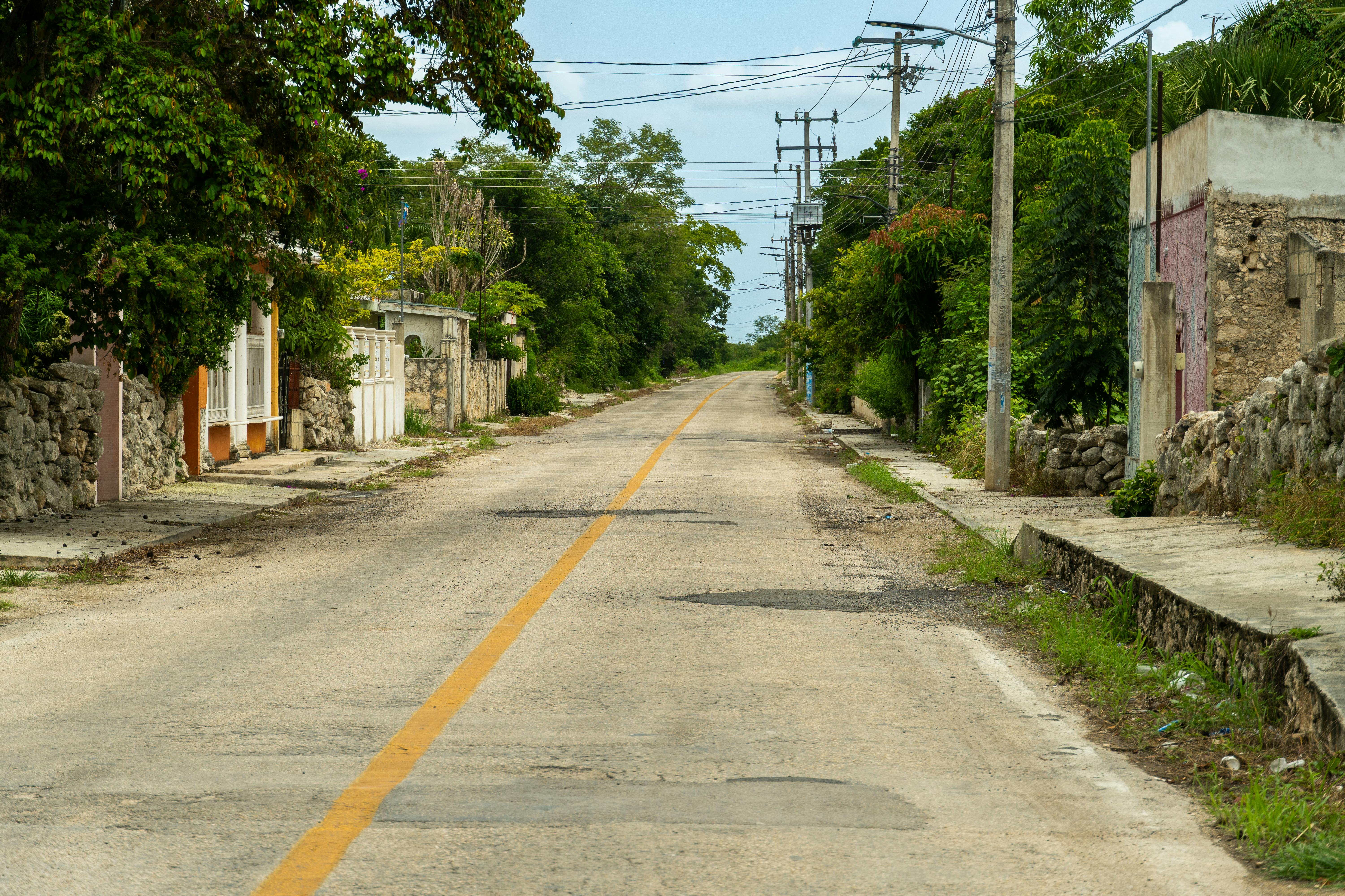 Suma Photos, Download The BEST Free Suma Stock Photos & HD Images