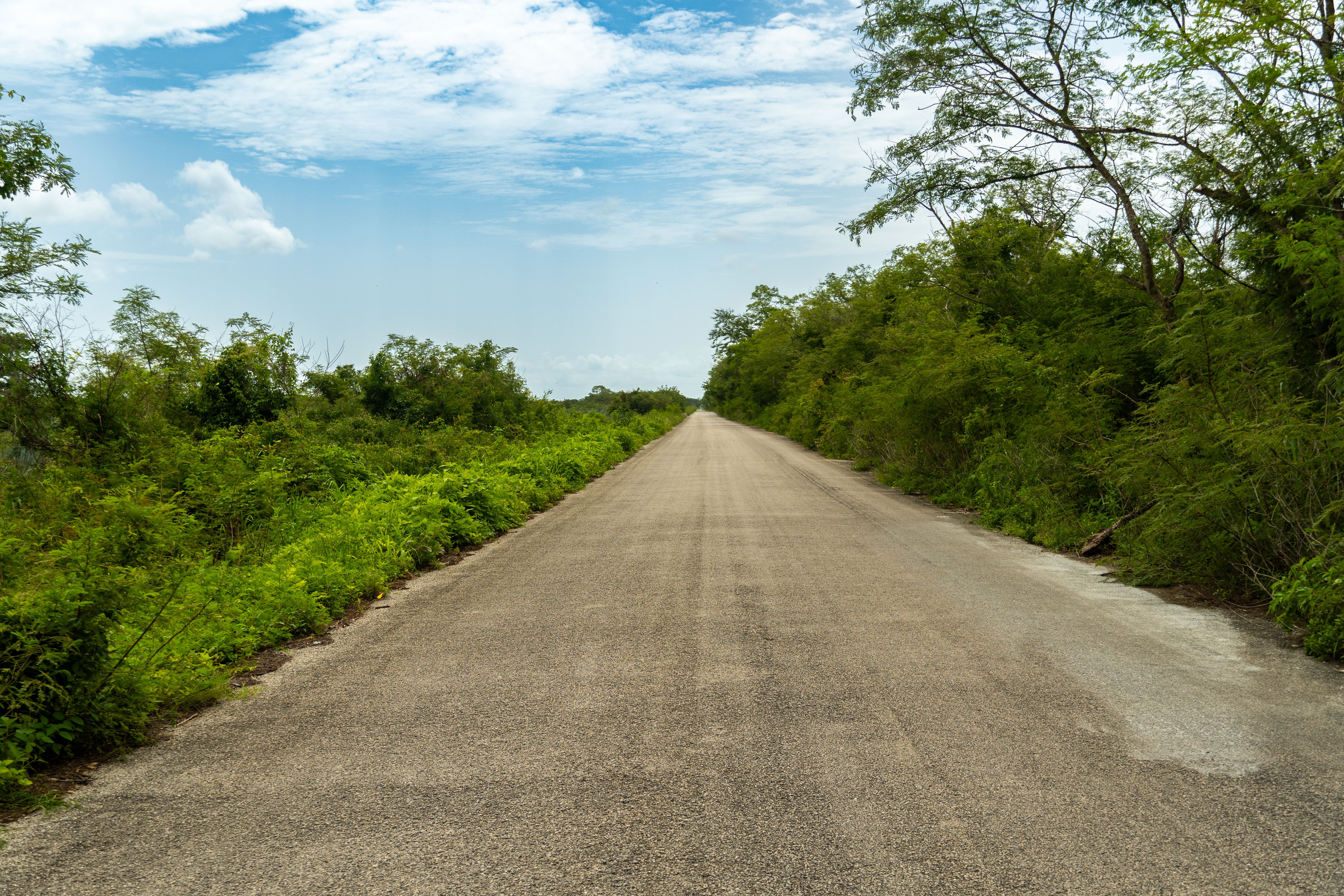 Estrada Rural Através De Paisagens Verdejantes Em Yucatán · Foto ...